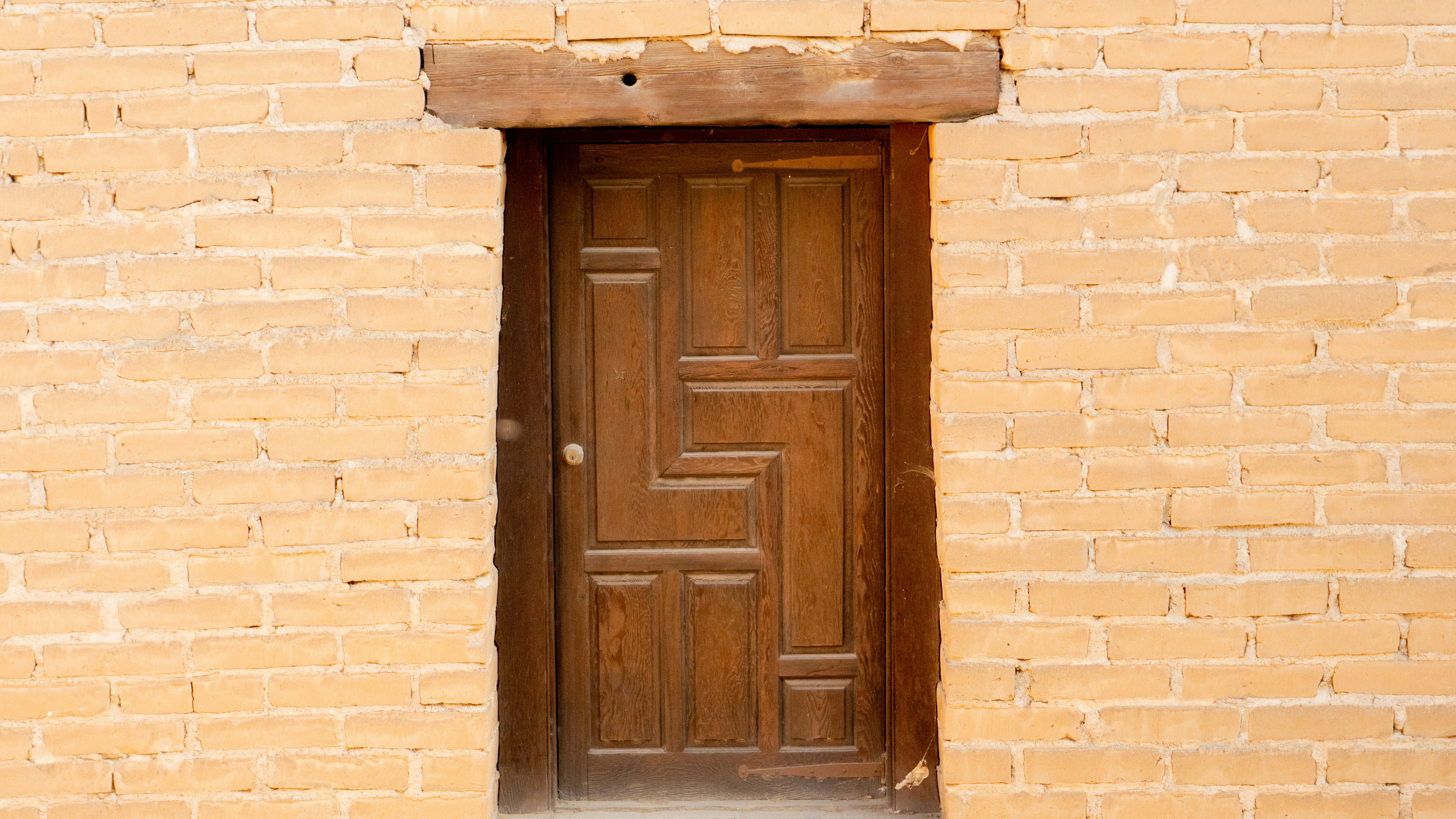 Weathered Wooden Door Amid Sunlit Brickwork
