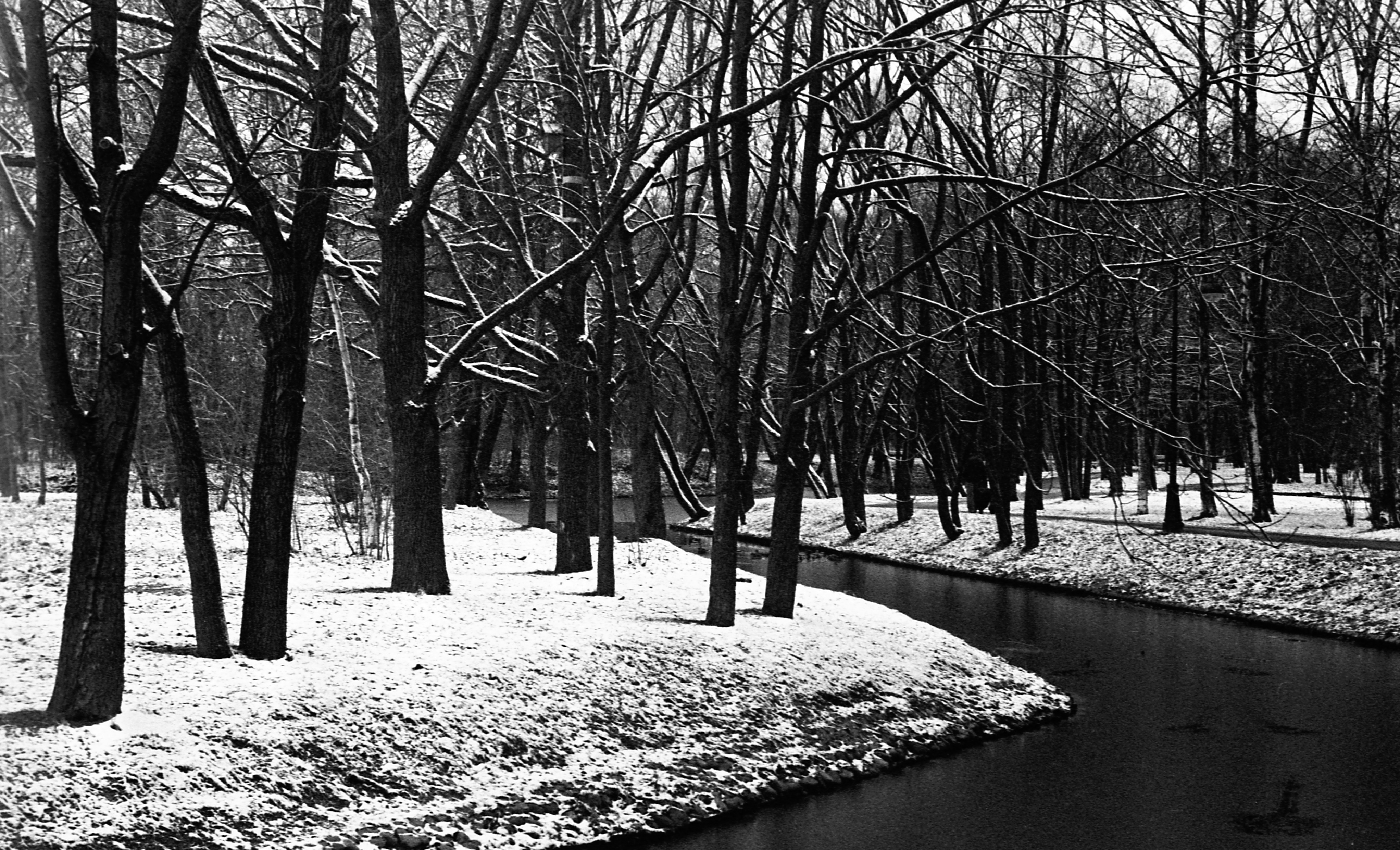 Quiet Winter Confluence by the Canal