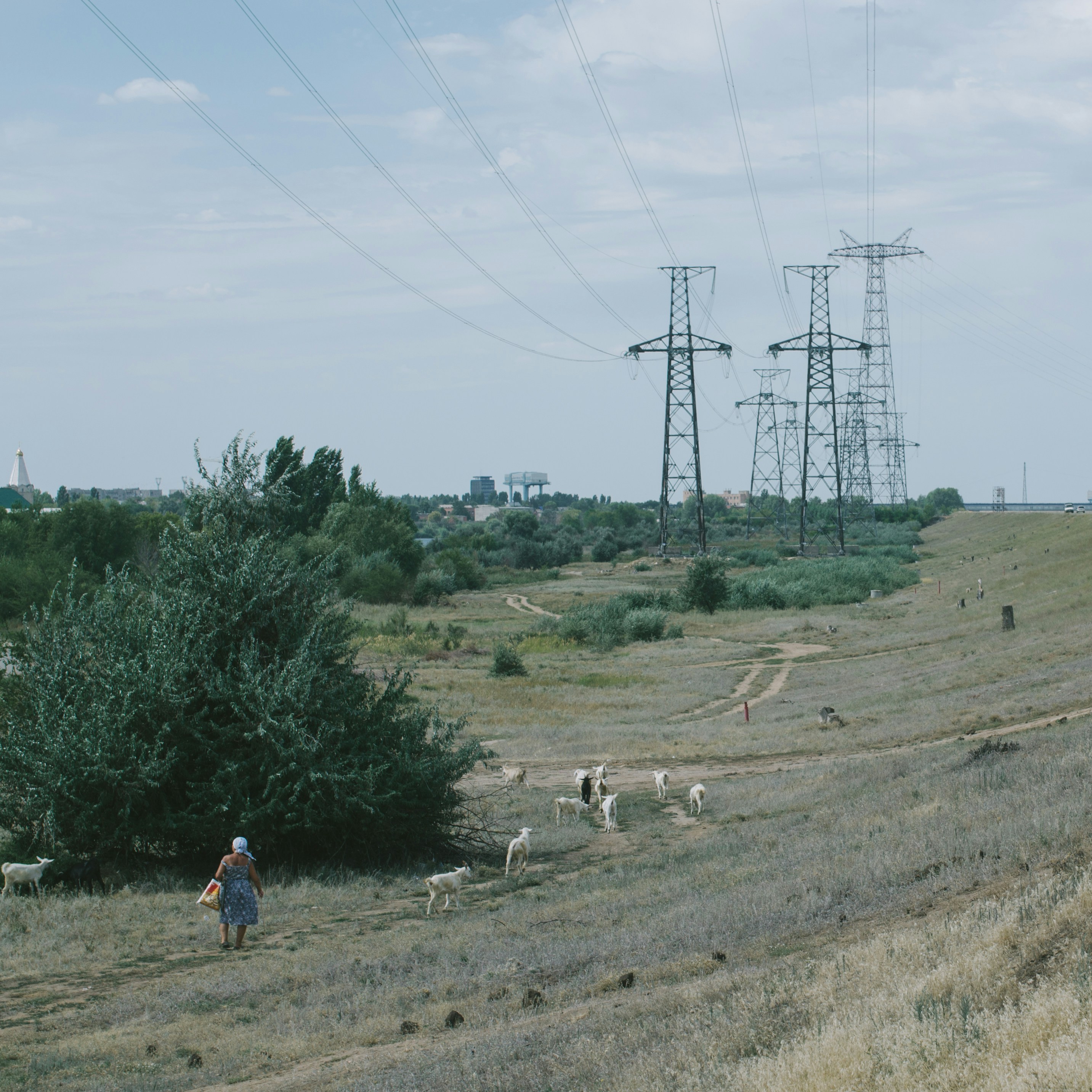 Pastoral Path Beneath Power Lines