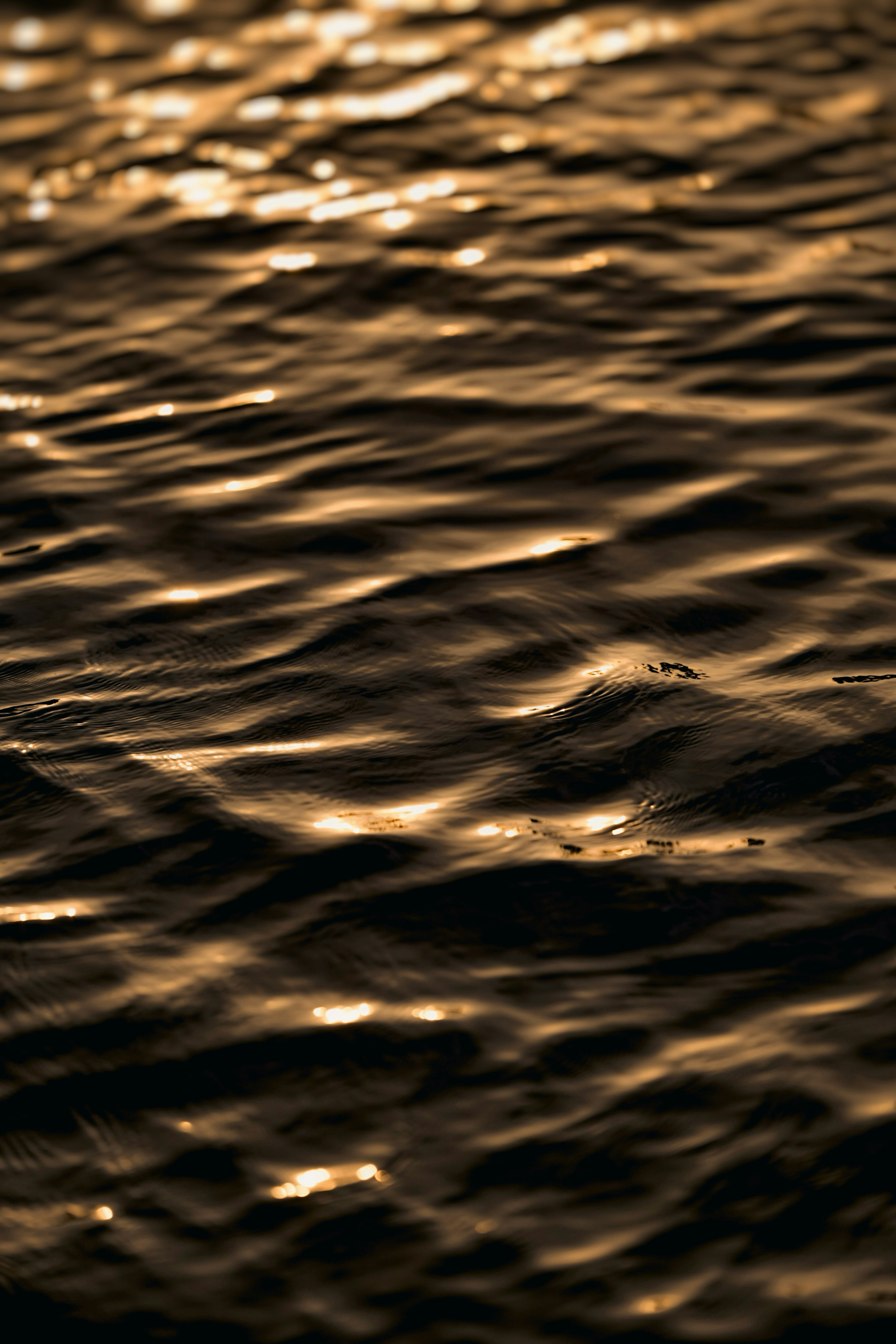 Golden Ripples at Dusk