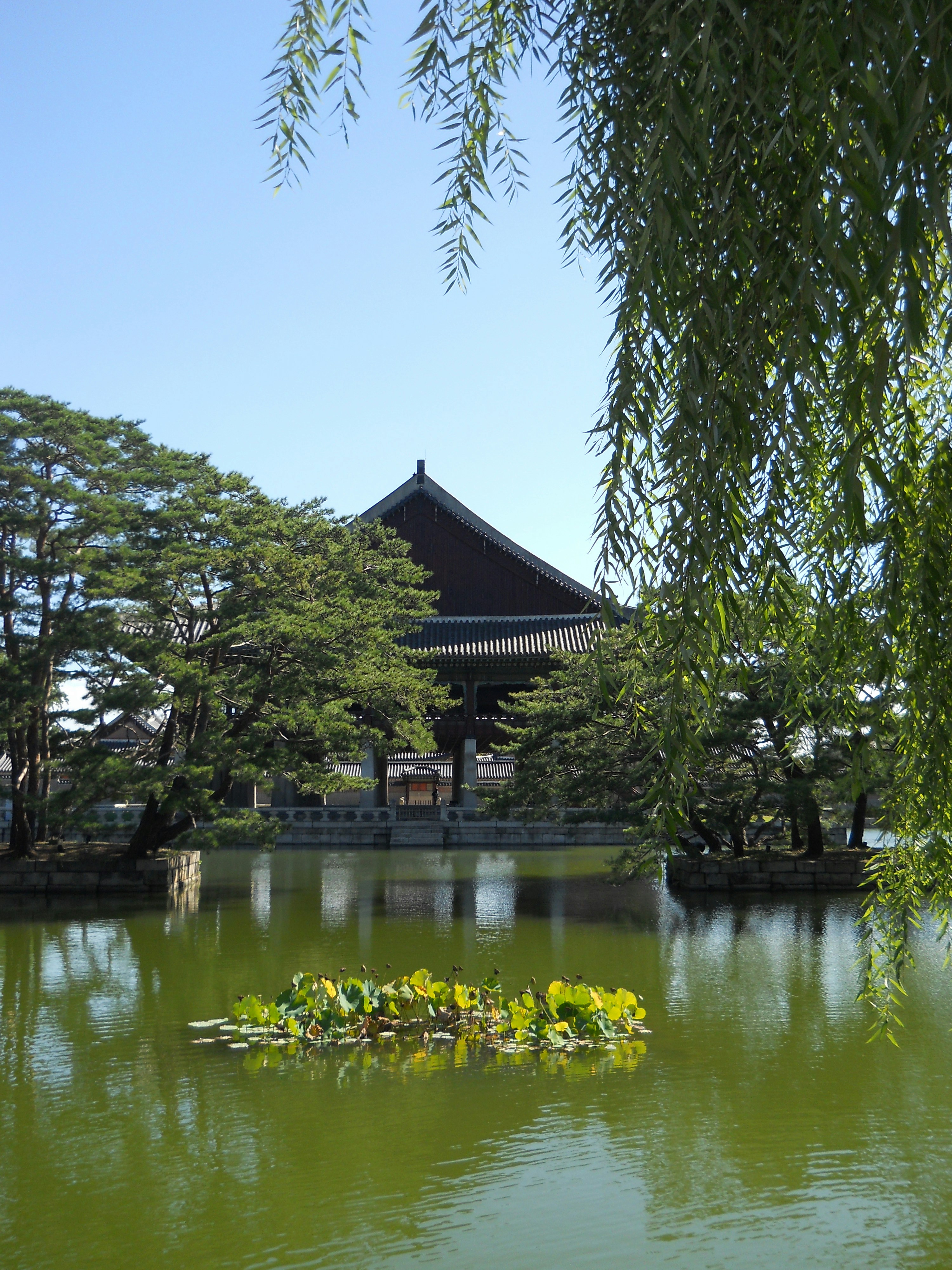 Tranquil Temple Across a Green Pond Framed by Weeping Willow