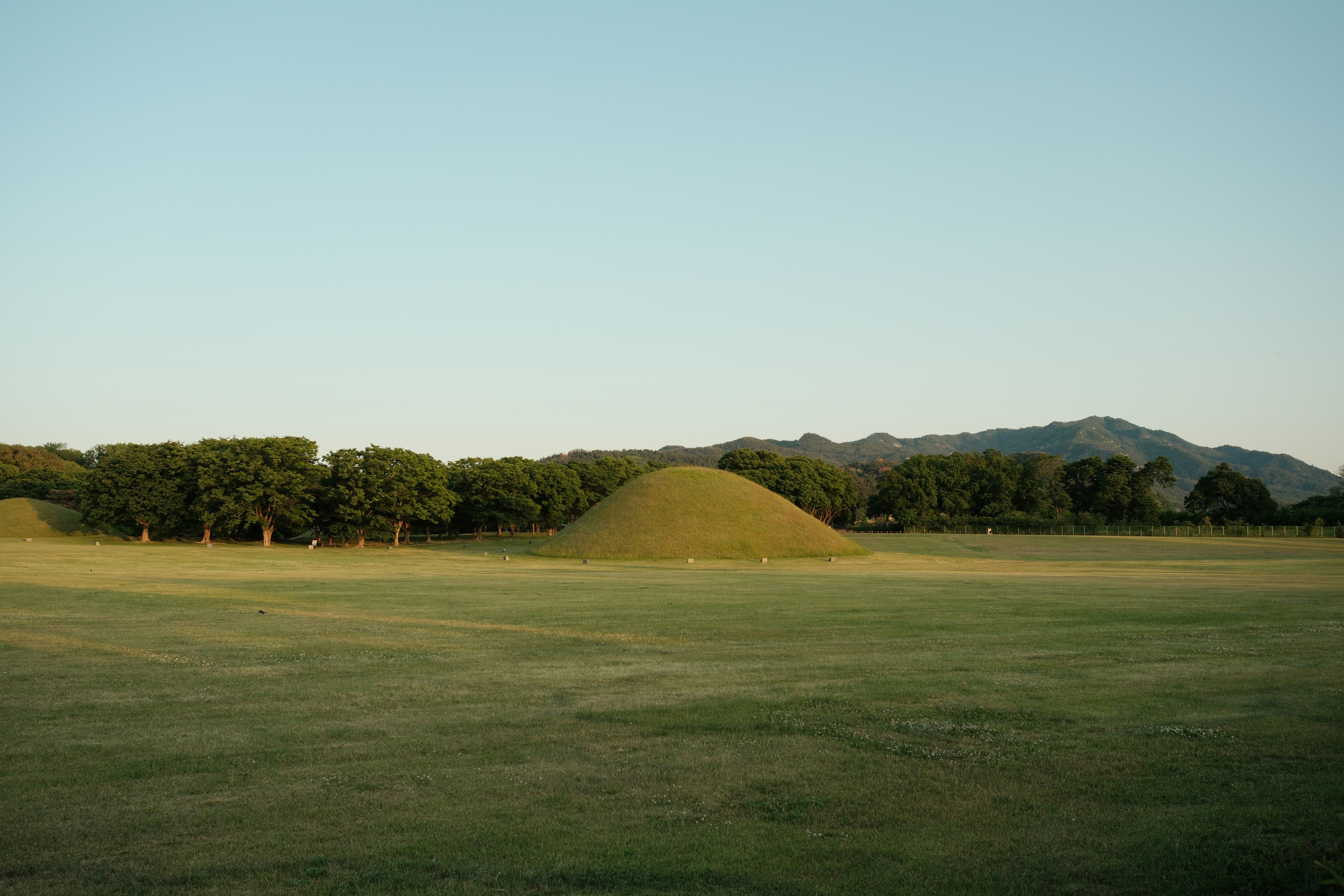 Mounded Wake of Grass: A Quiet Rolling Hill Beneath a Clear Sky