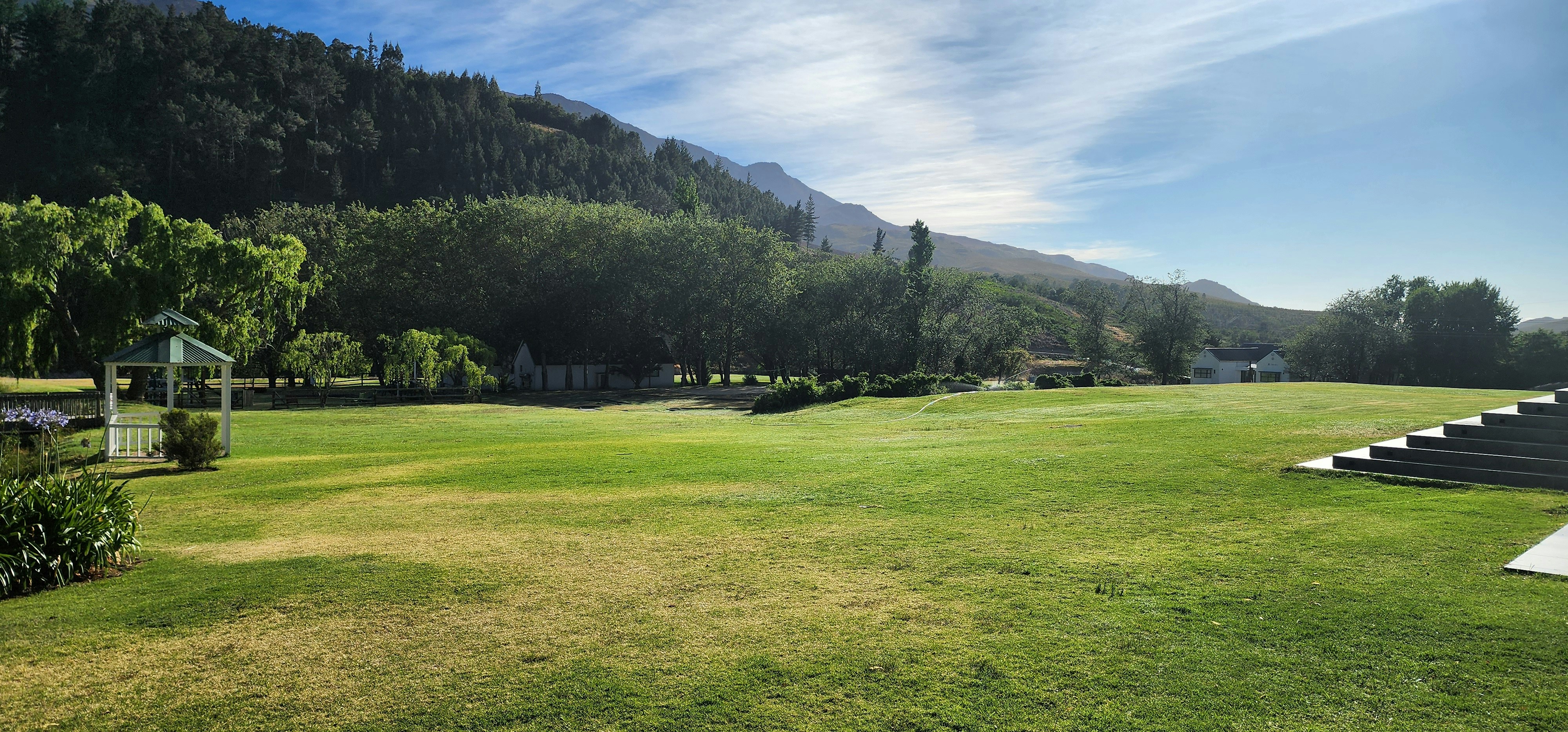 Sunlit Park Ridge: A Quiet Crest Above the Lawn