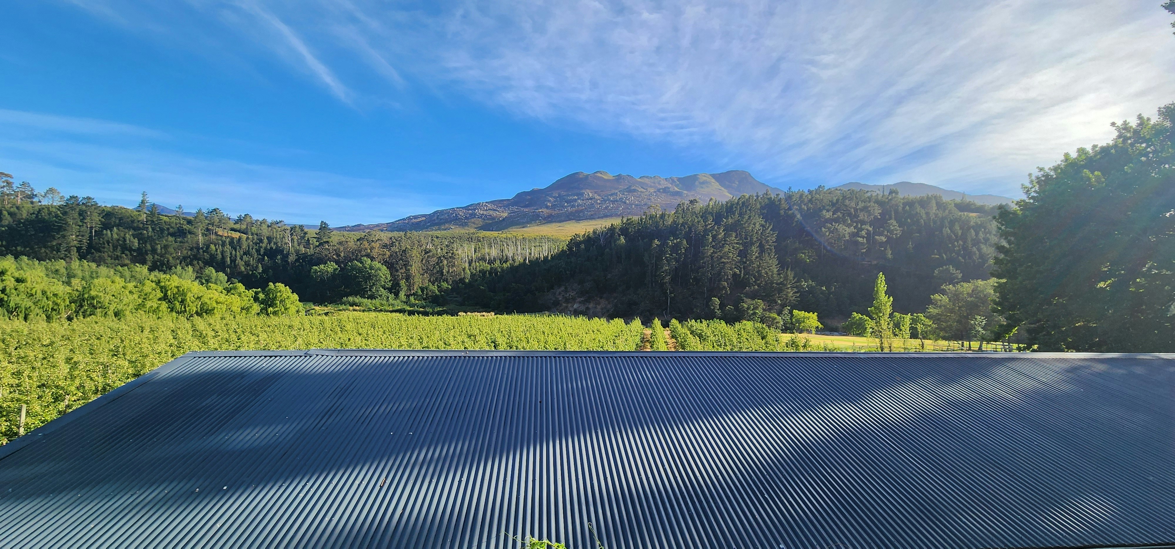 Sunlit Ridge over a Corrugated Field