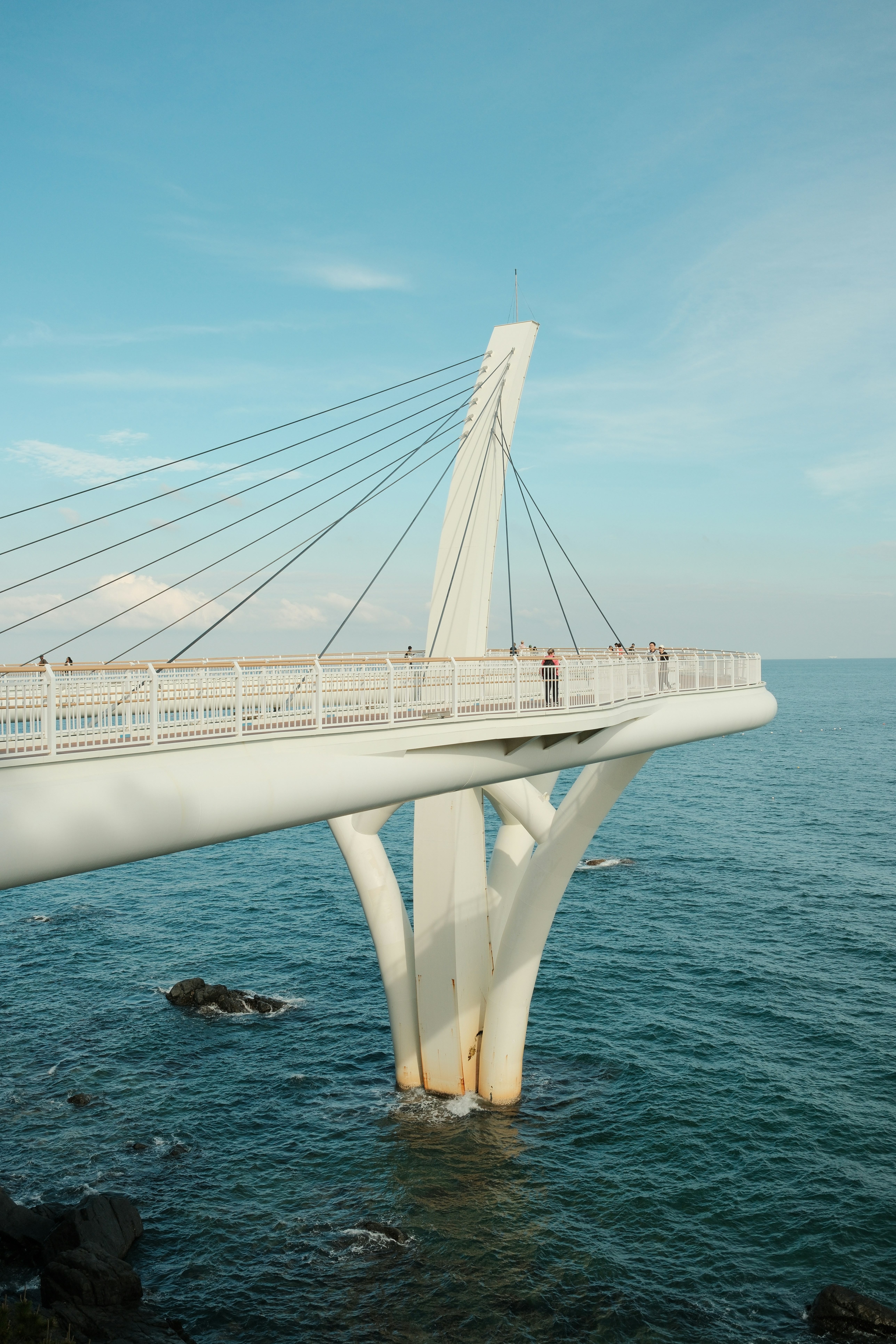 Bridge Over Blue: A Coastal Walk on a Modern Pier