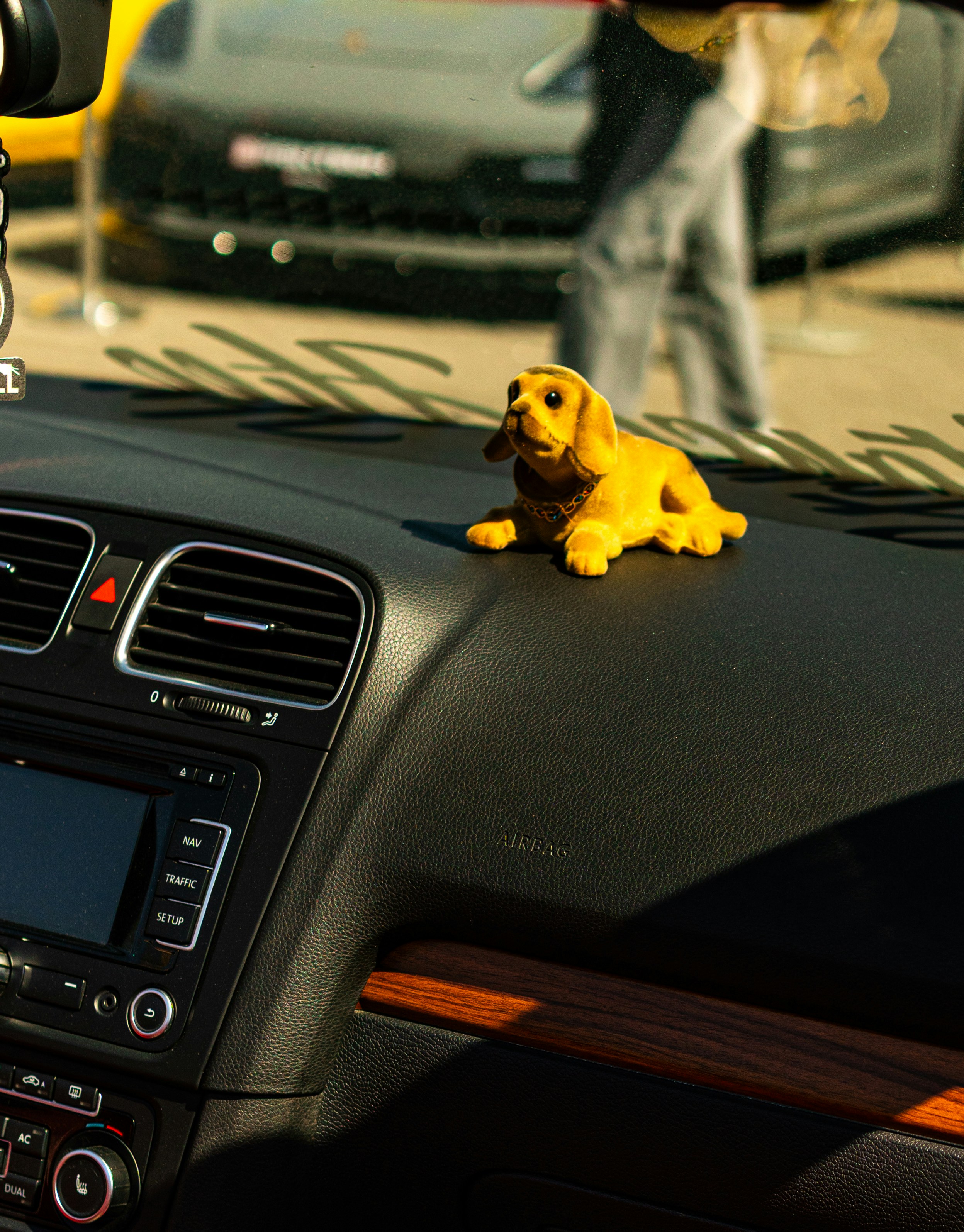 Miniature Driver, Big Moment: A Tiny Puppy Rests on the Car Dashboard