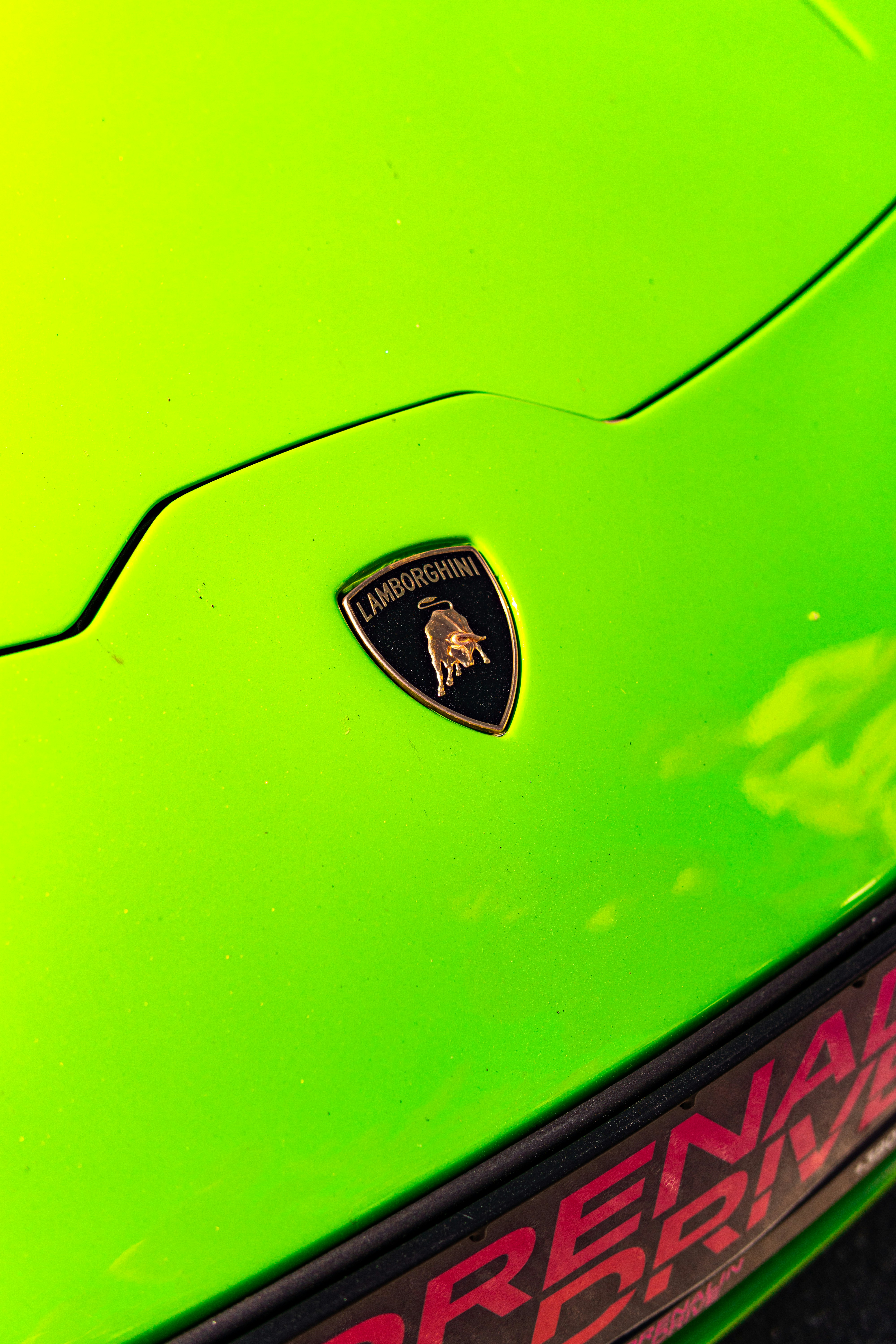 Lime Green Lamborghini Emblem: A Bold Focus on the Shield