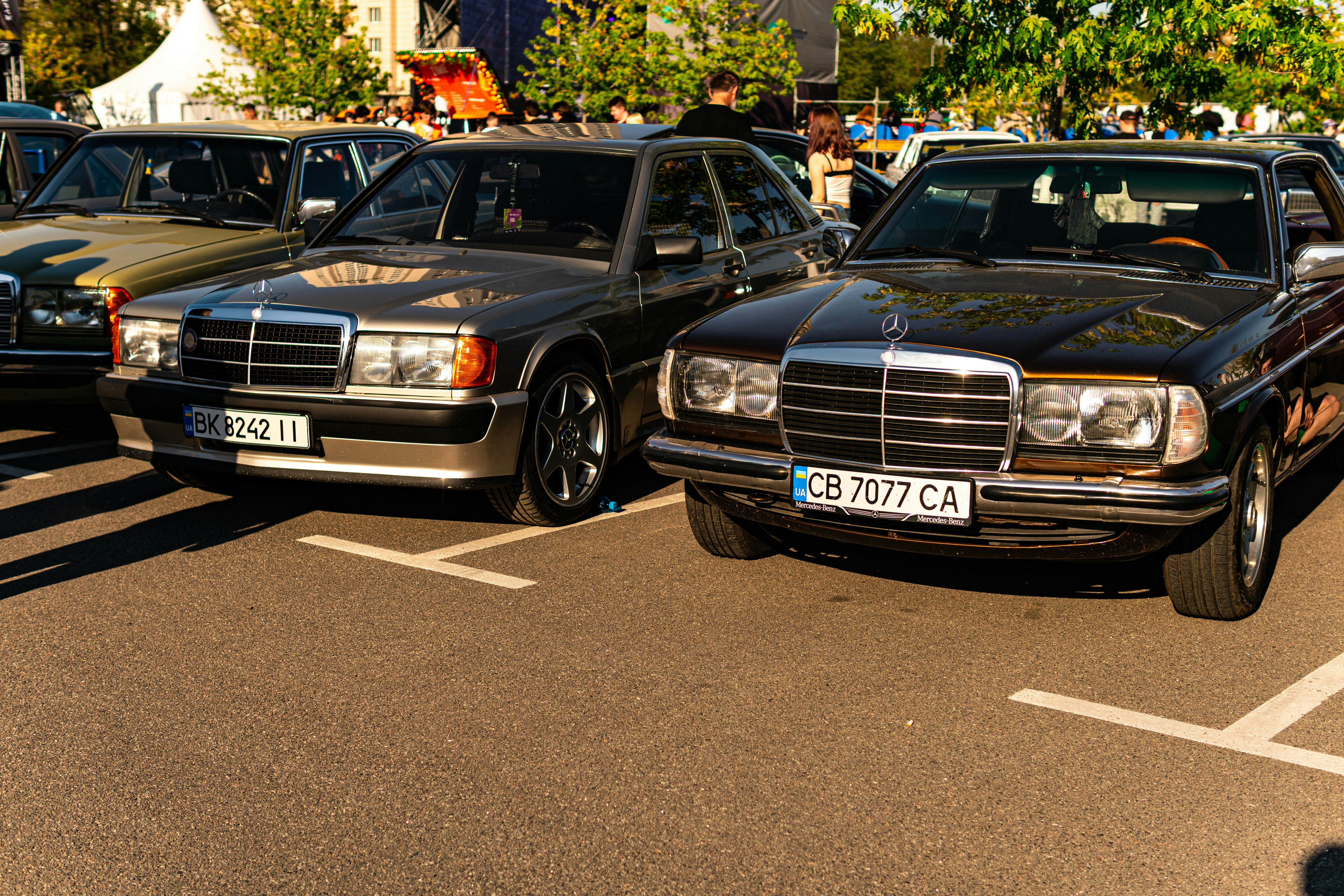 Row of Classic Mercedes Benz Sedans at an Outdoor Show