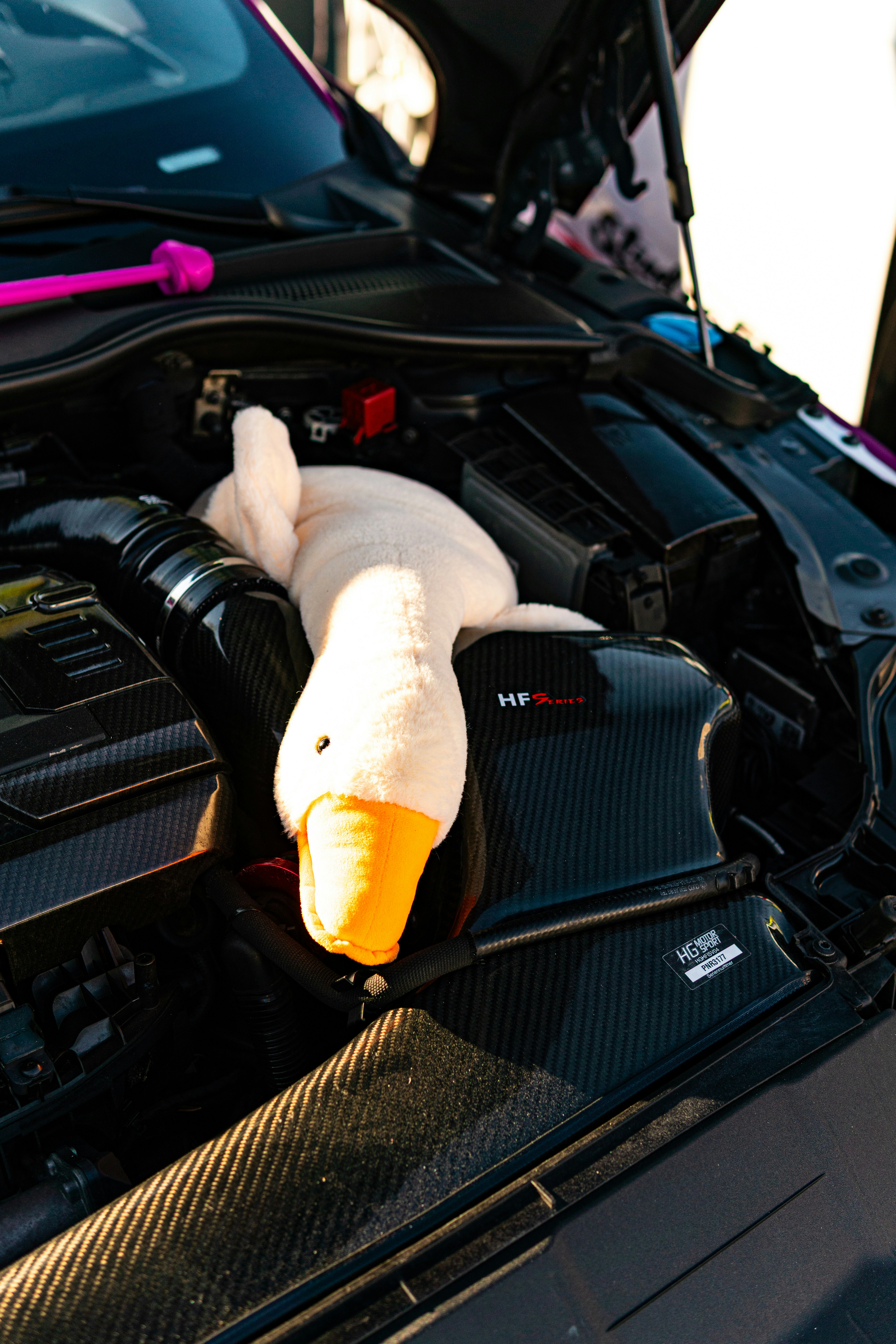 Duck in the Hood: A Plush Under the Hood of a Perfumed Engine