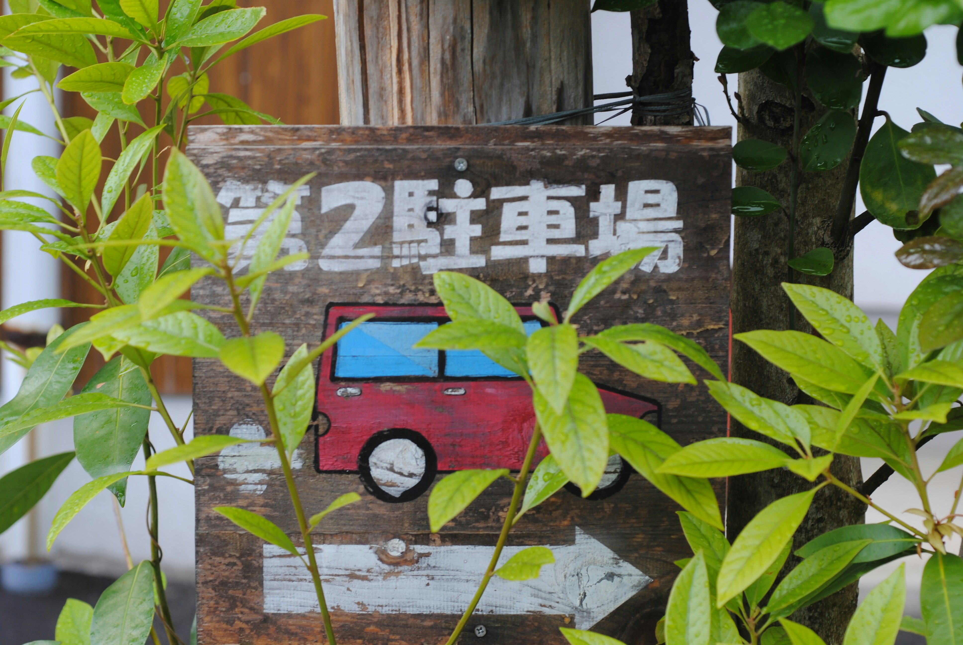 Overgrown Sign: A Carved Wooden Parking Board Peeking Through Bright Green Tendrils