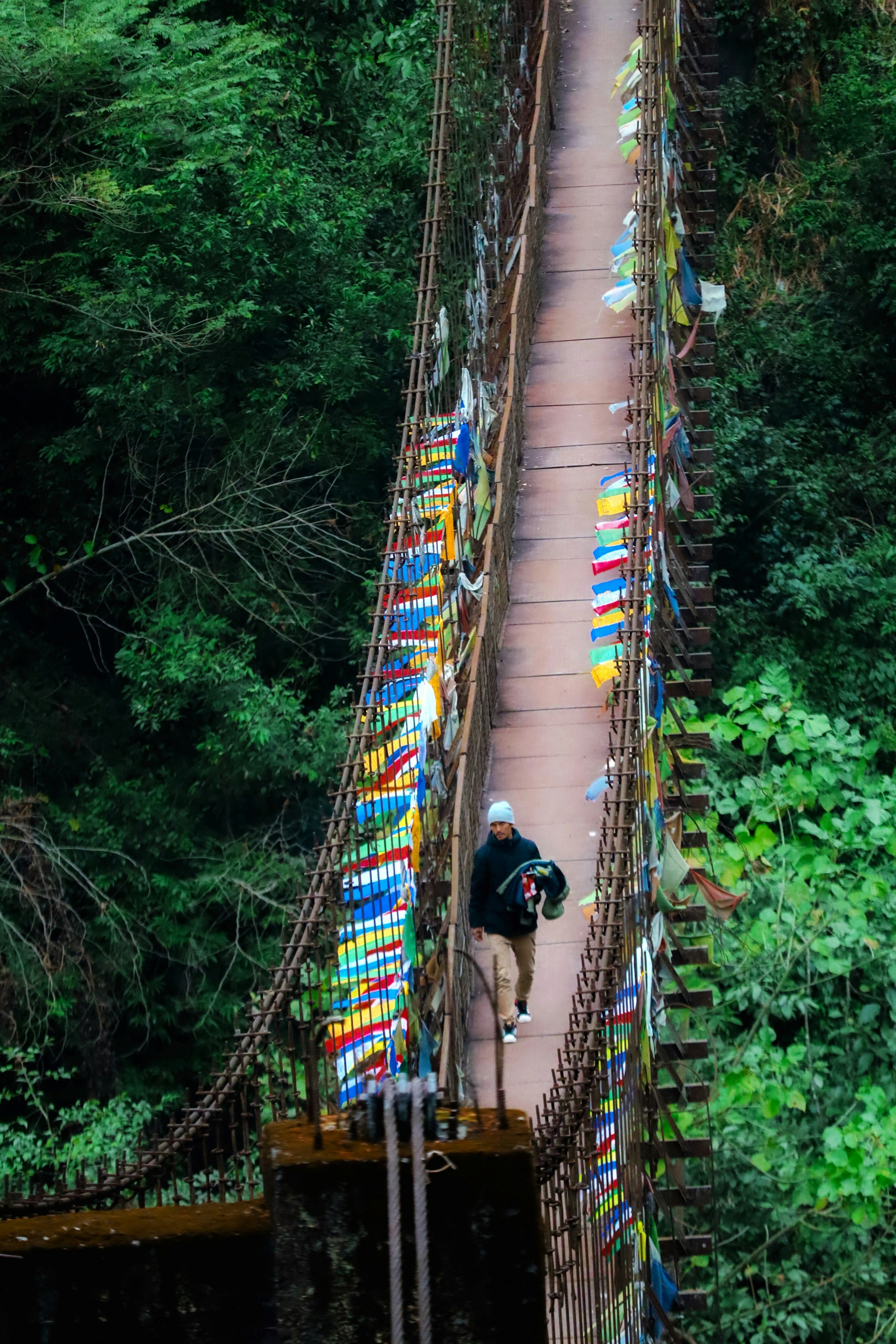 Traveler Amid Colorful Ribbons on a Suspended Forest Bridge
