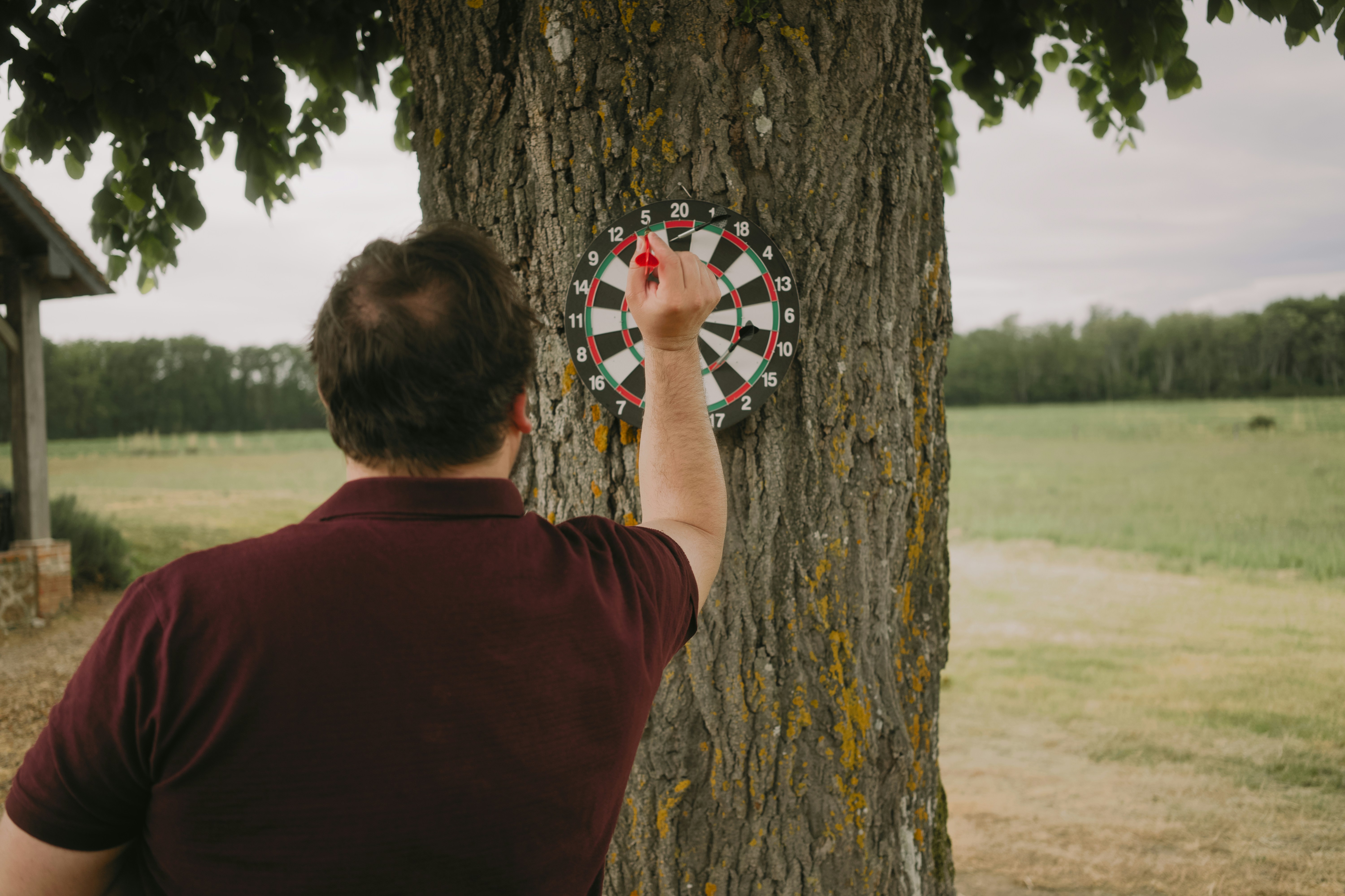Darted Focus: A Trunk-Top Target in a Quiet Field