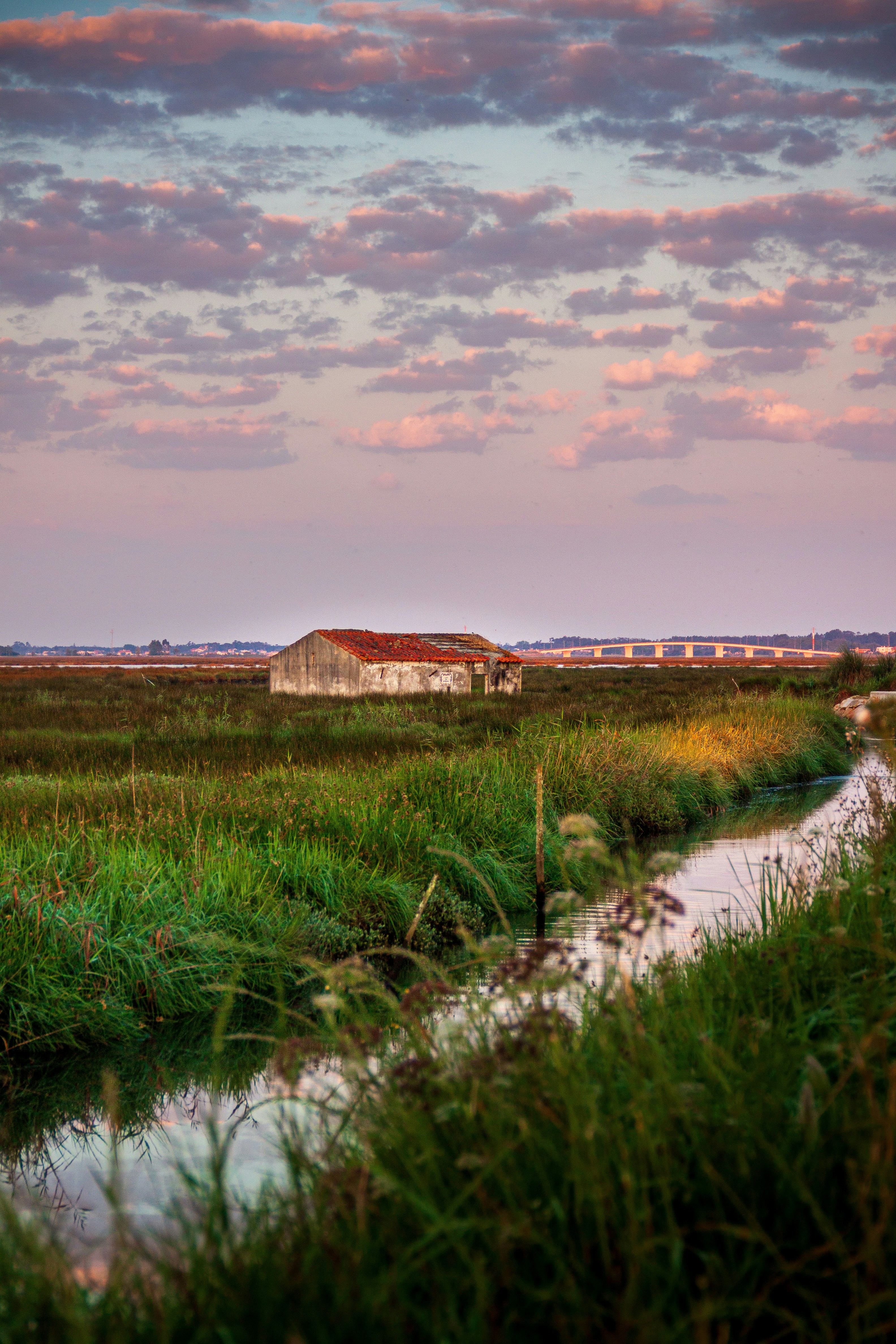 Dawn Over the Marsh: A Red-Tiled Shed by Quiet Waters