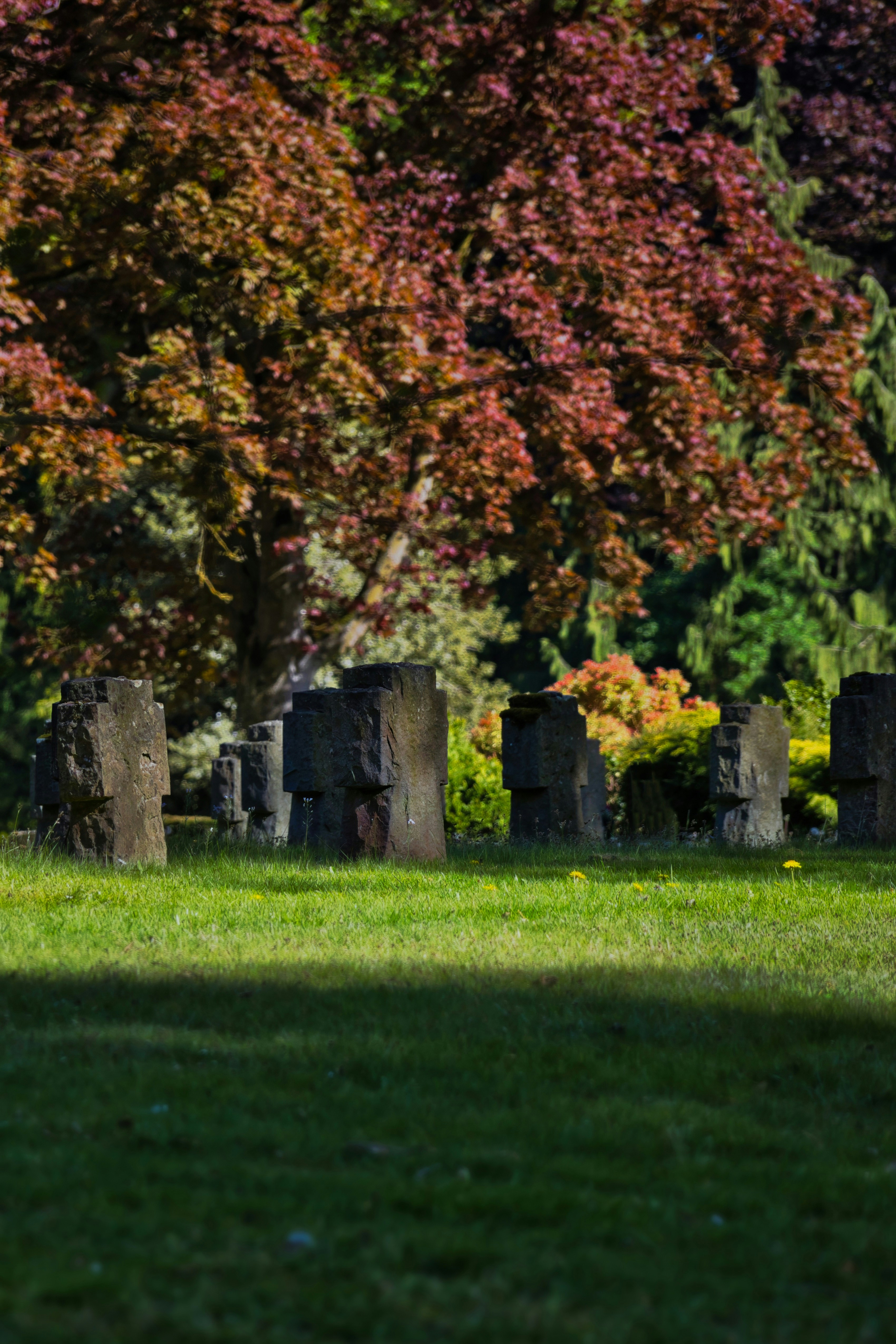 Quiet Rows of Weathered Stones Under Autumn Canopy