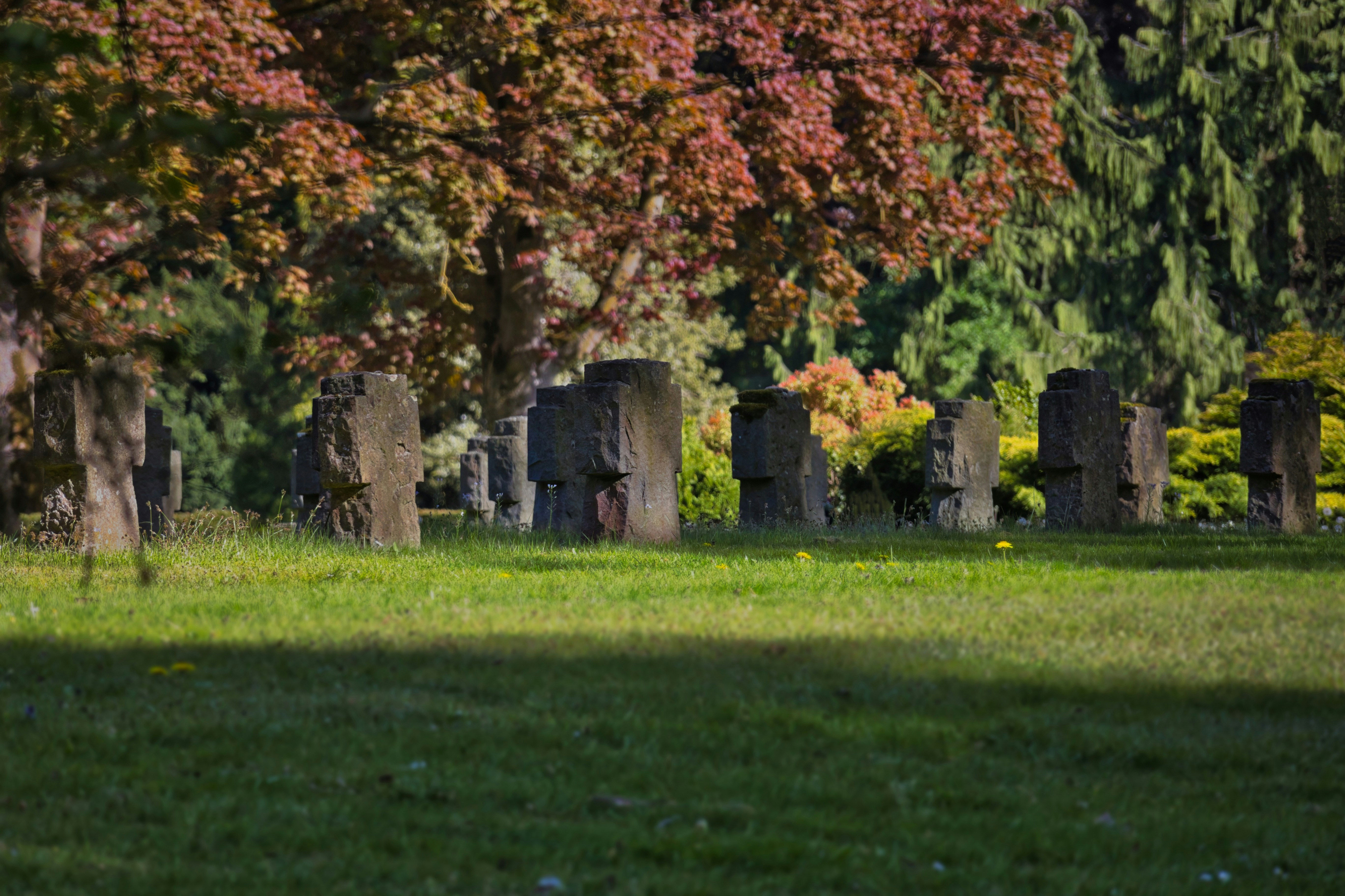 Sunlit Row of Weathered Headstones in a Quiet Cemetery