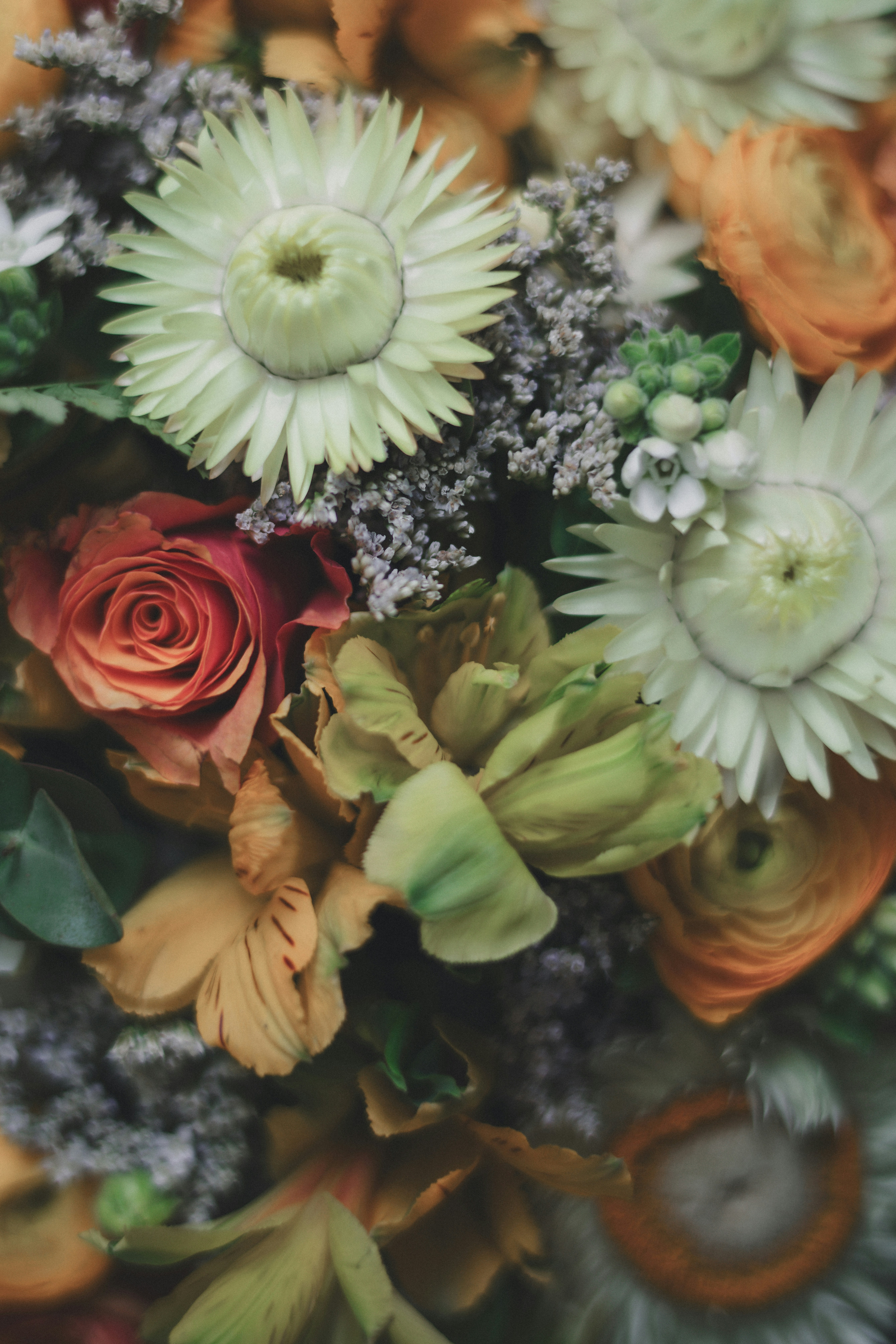 Close‑up Bloom Chorus: Soft Pastels Amid Rich Florals