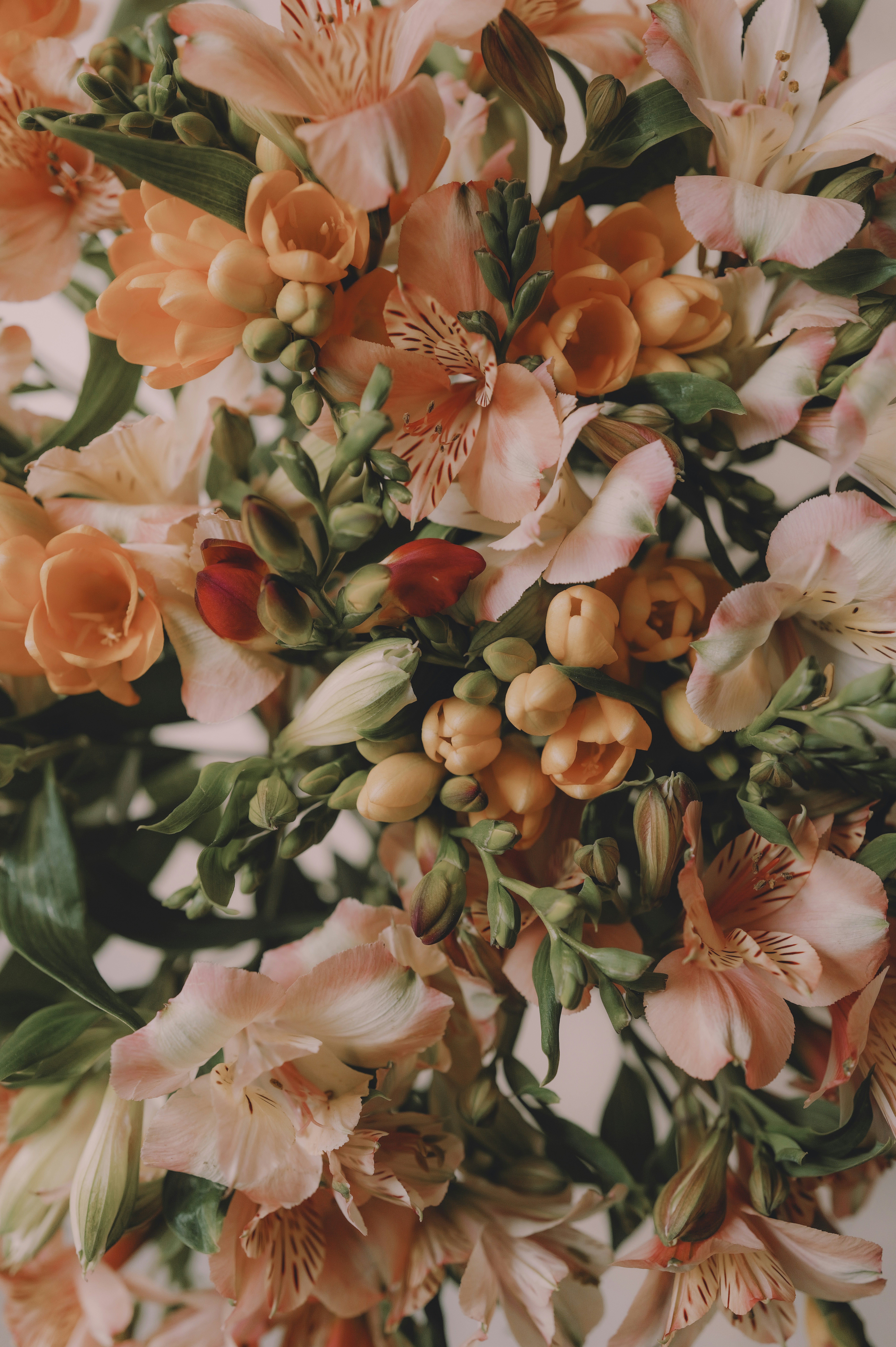 Peach-Blossom Burst: A Close-Up of Autumn-Hued Florals