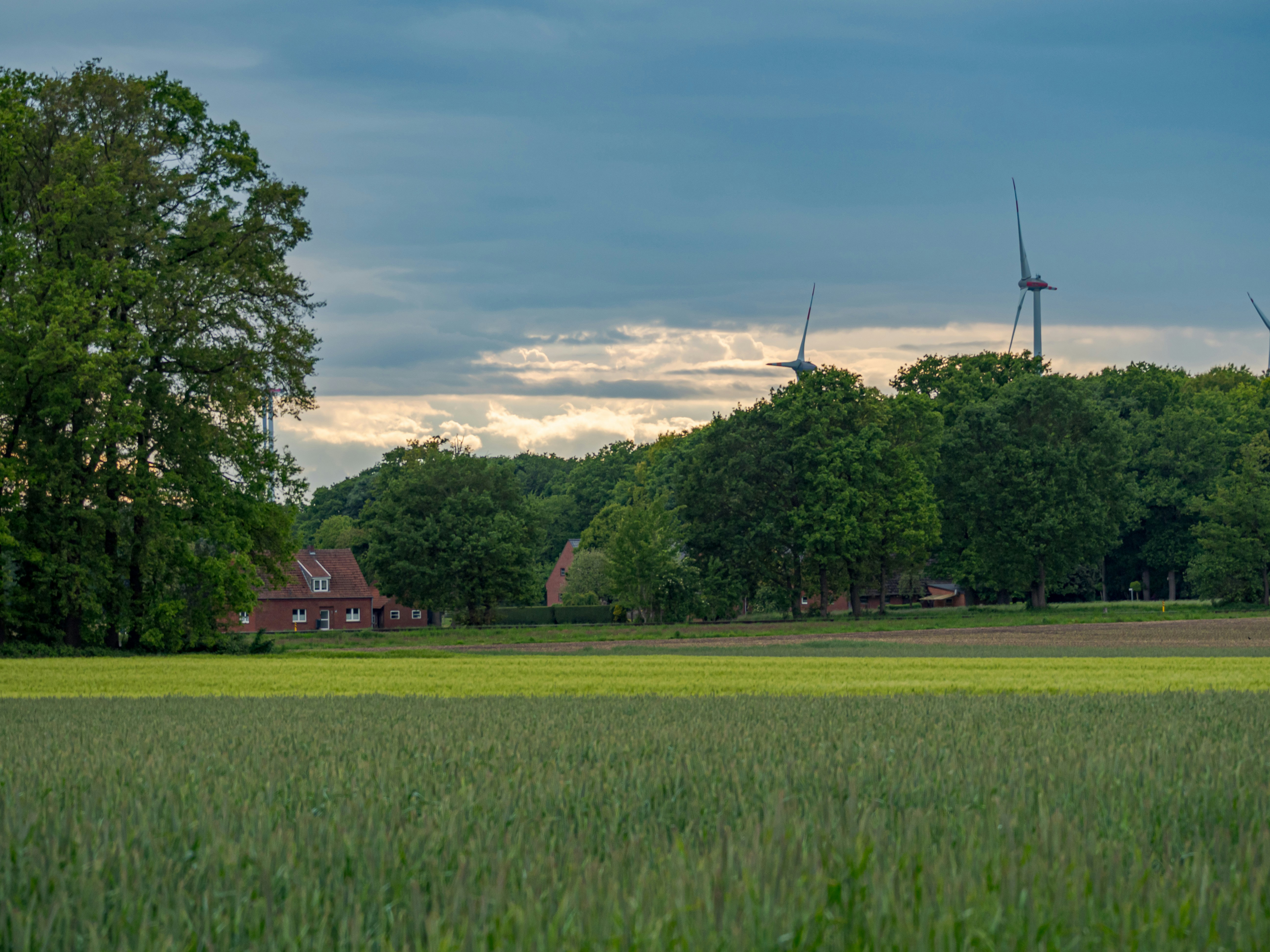 Pastoral Field Fragments under a Wind-Turbine Sky