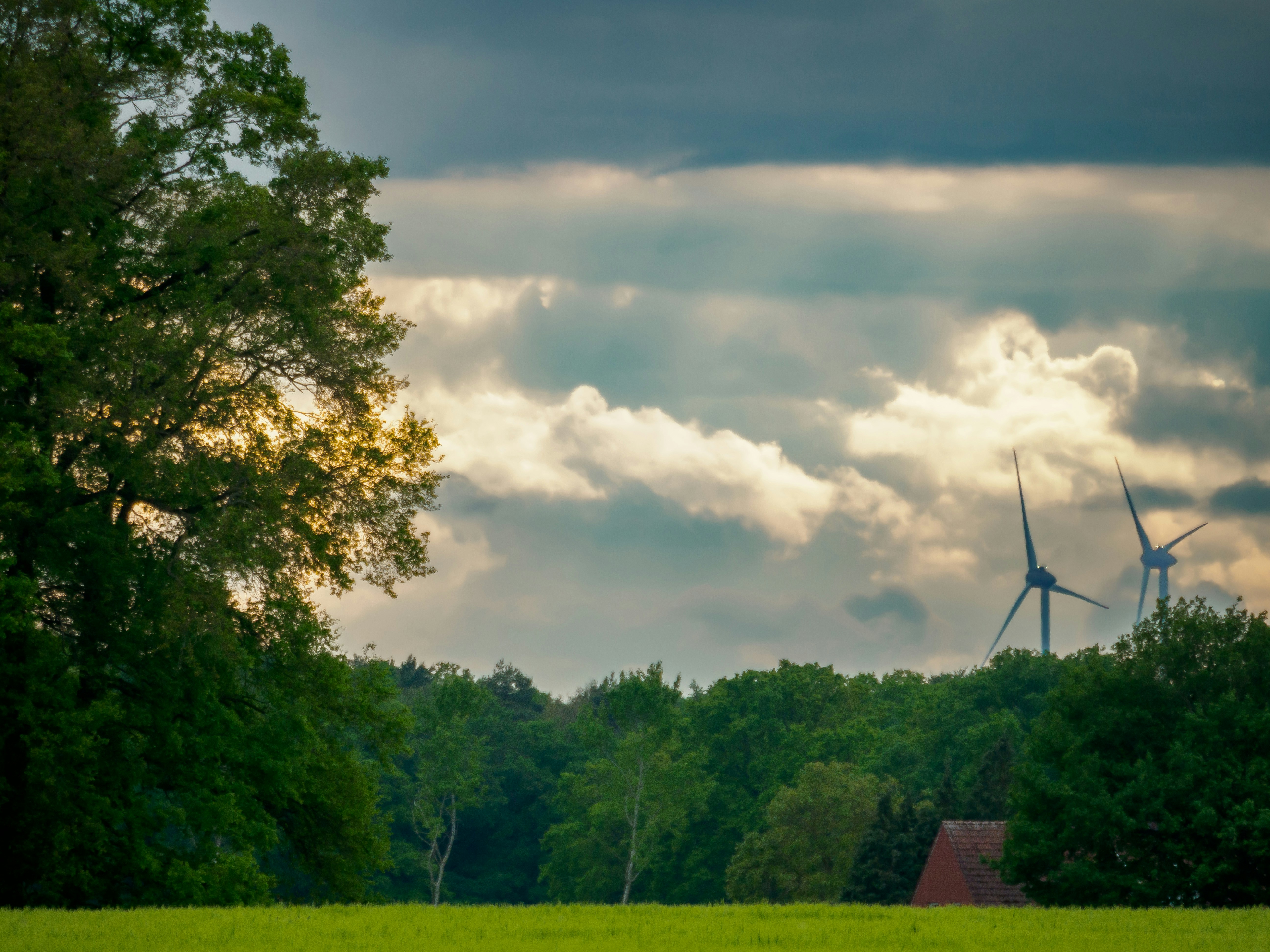 Sunlit Ridge: Wind Turbines Arrive Over the Tree Line