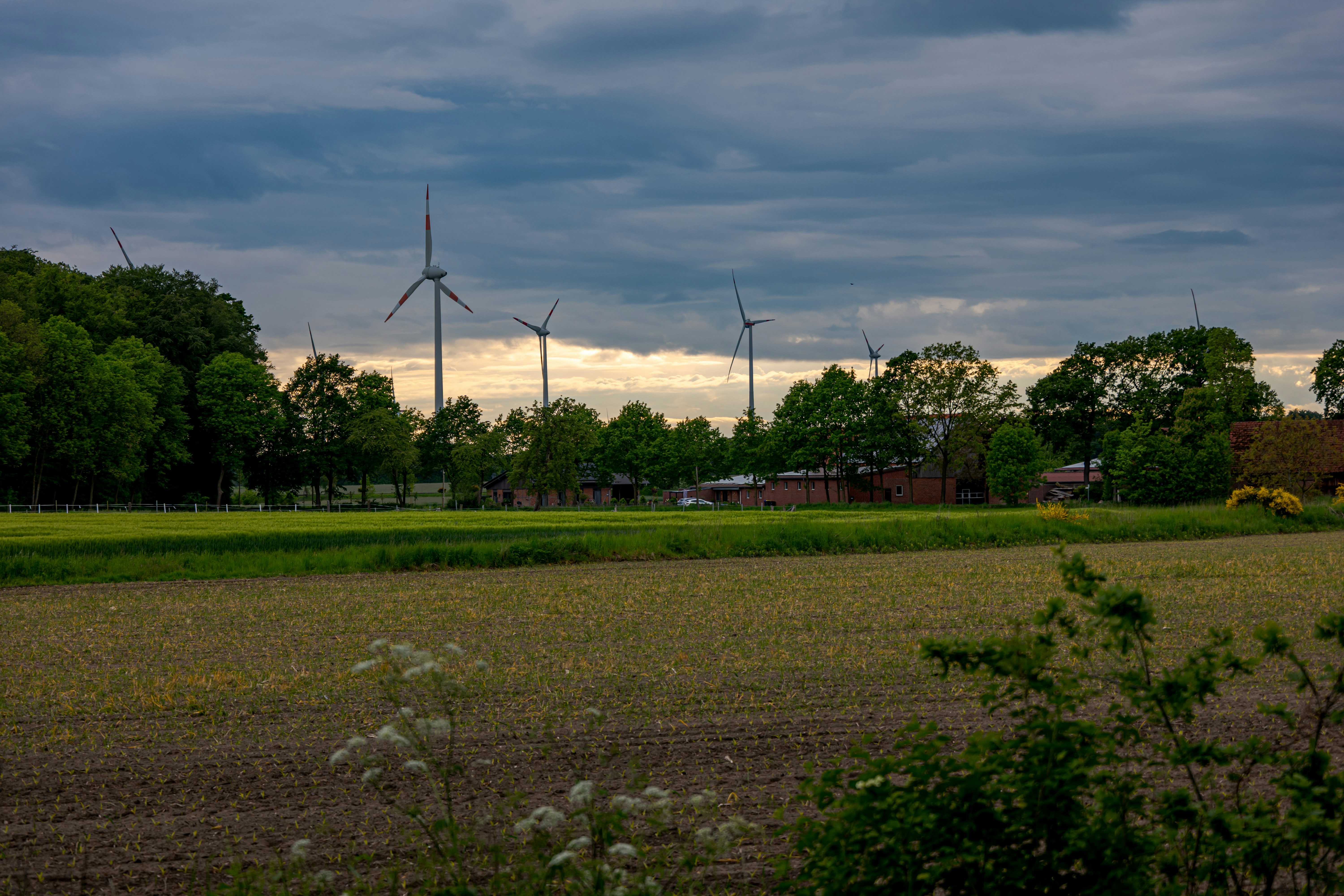 Wind Turbines on the Horizon at Dusk