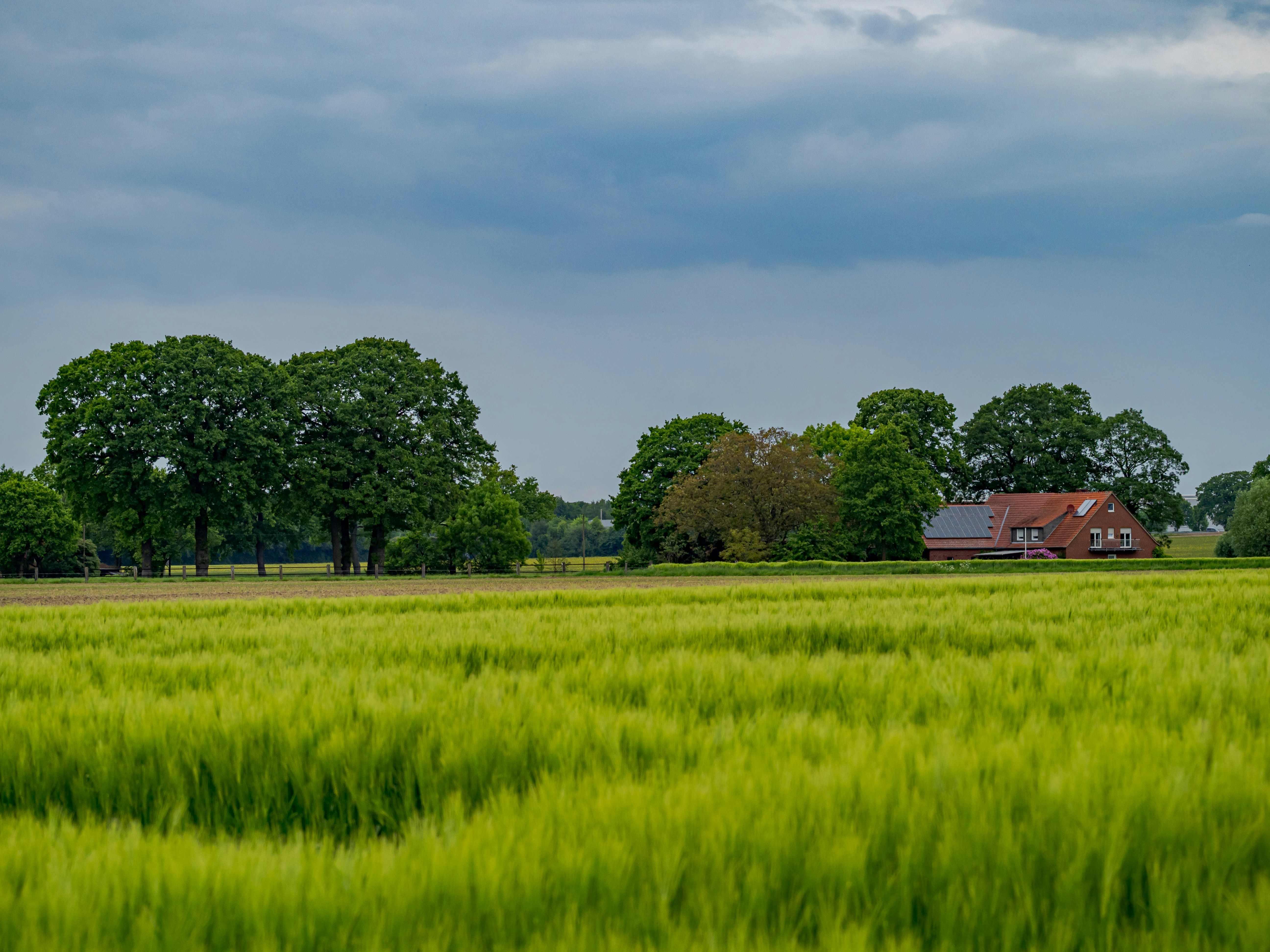 Rural Homestead on the Horizon