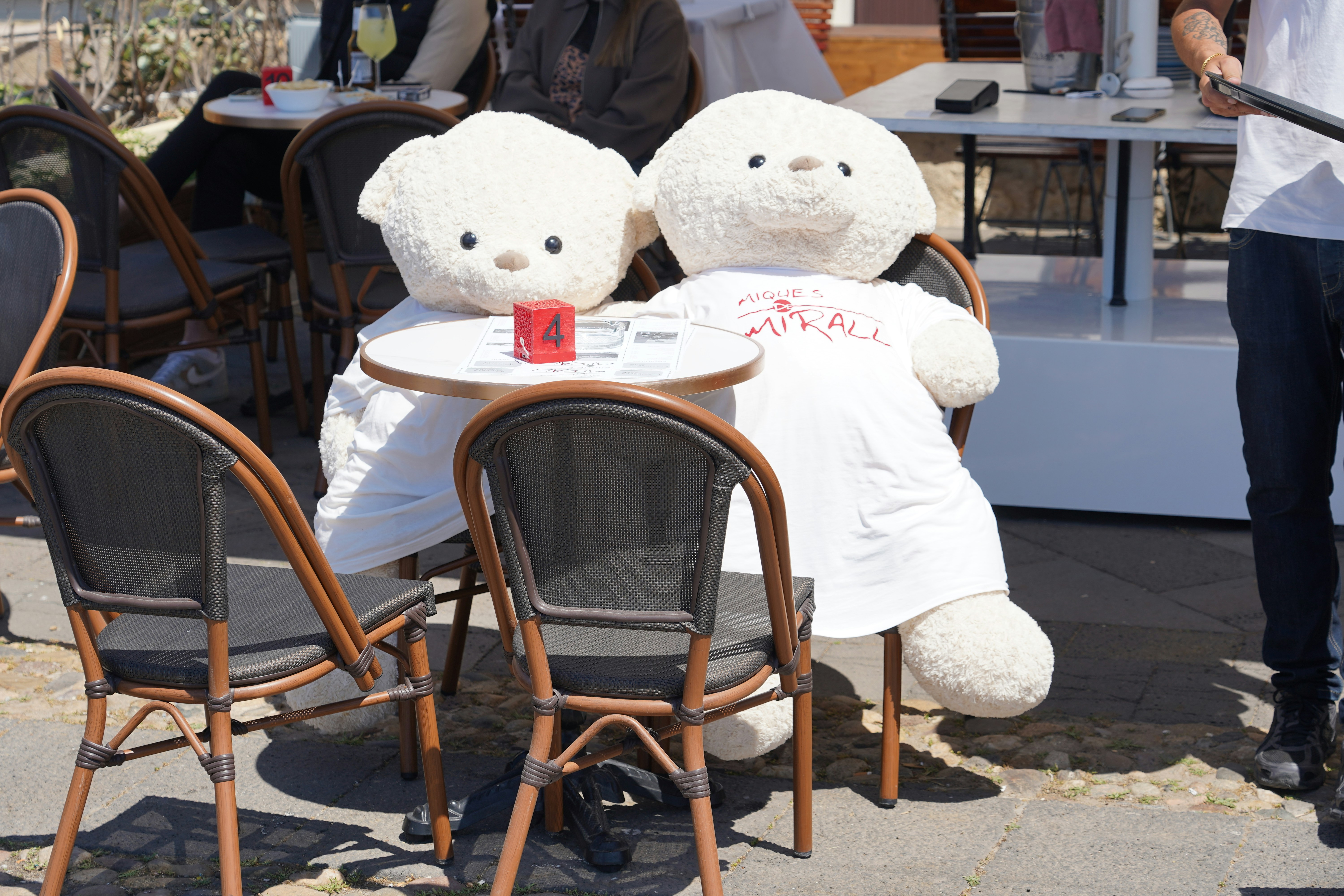 Two Plush Waitstaff at a Sunlit Cafe Table