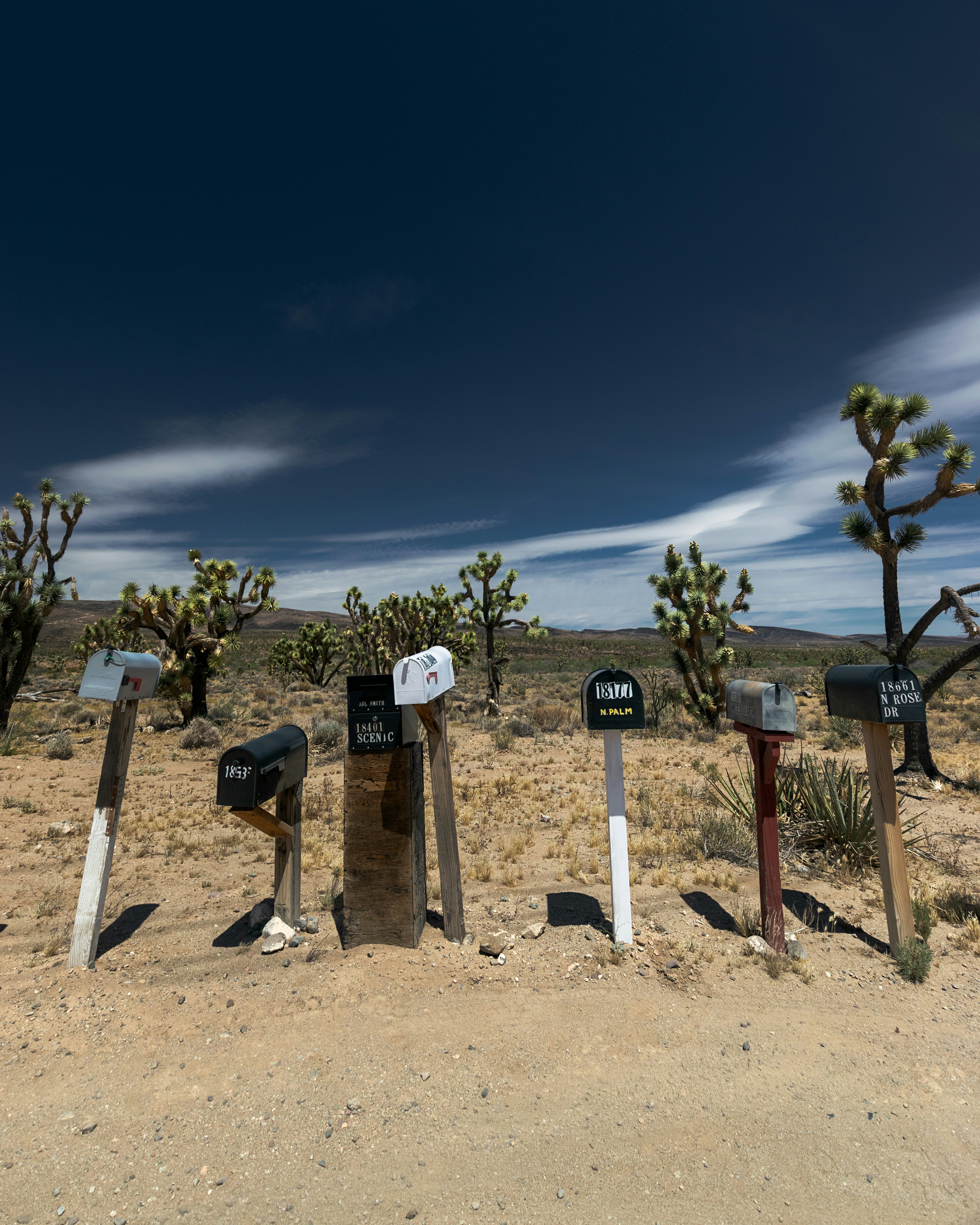 Desert Row of Mailboxes Under a Wide Sky