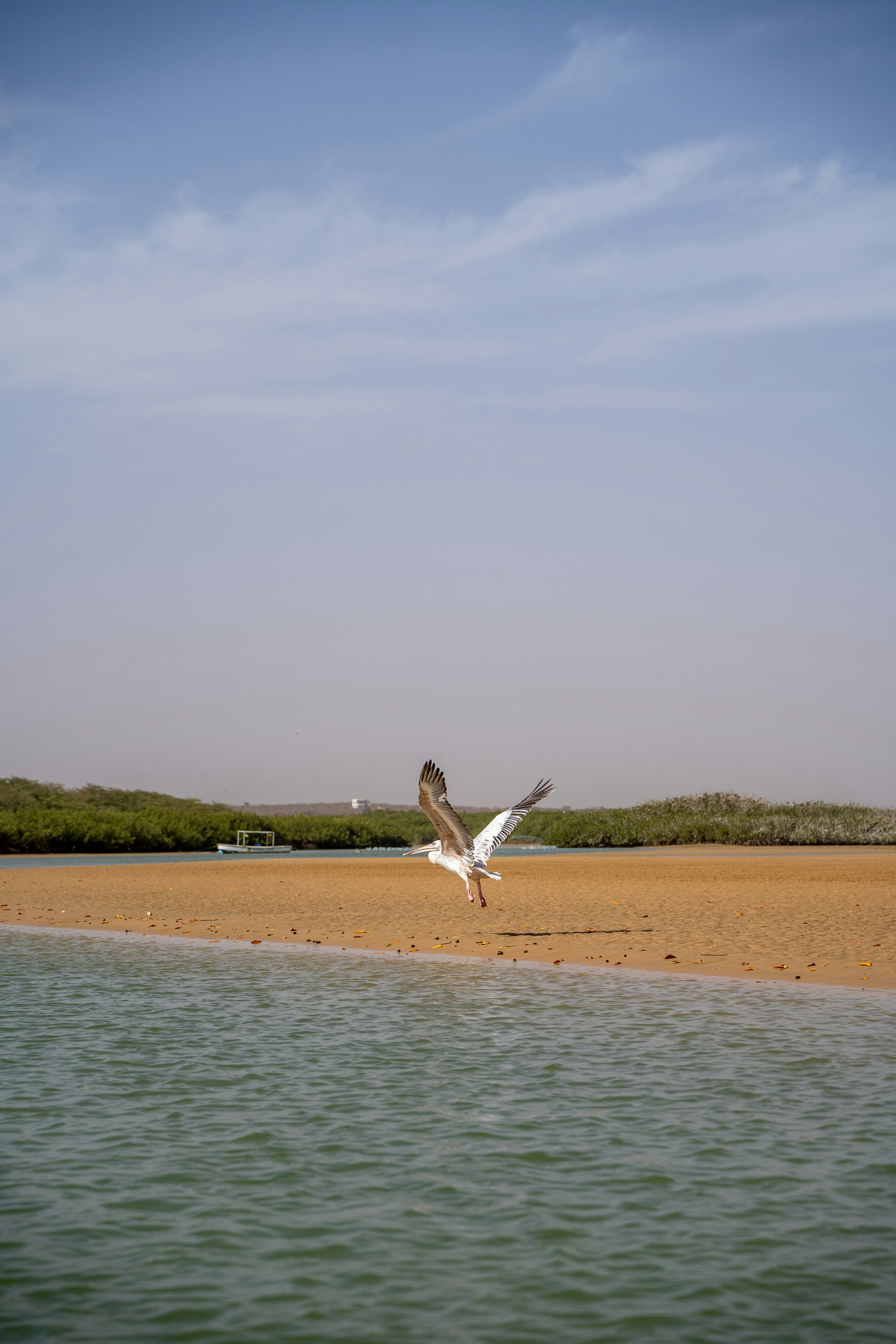 Wingtip Silence over the Tidal Sand