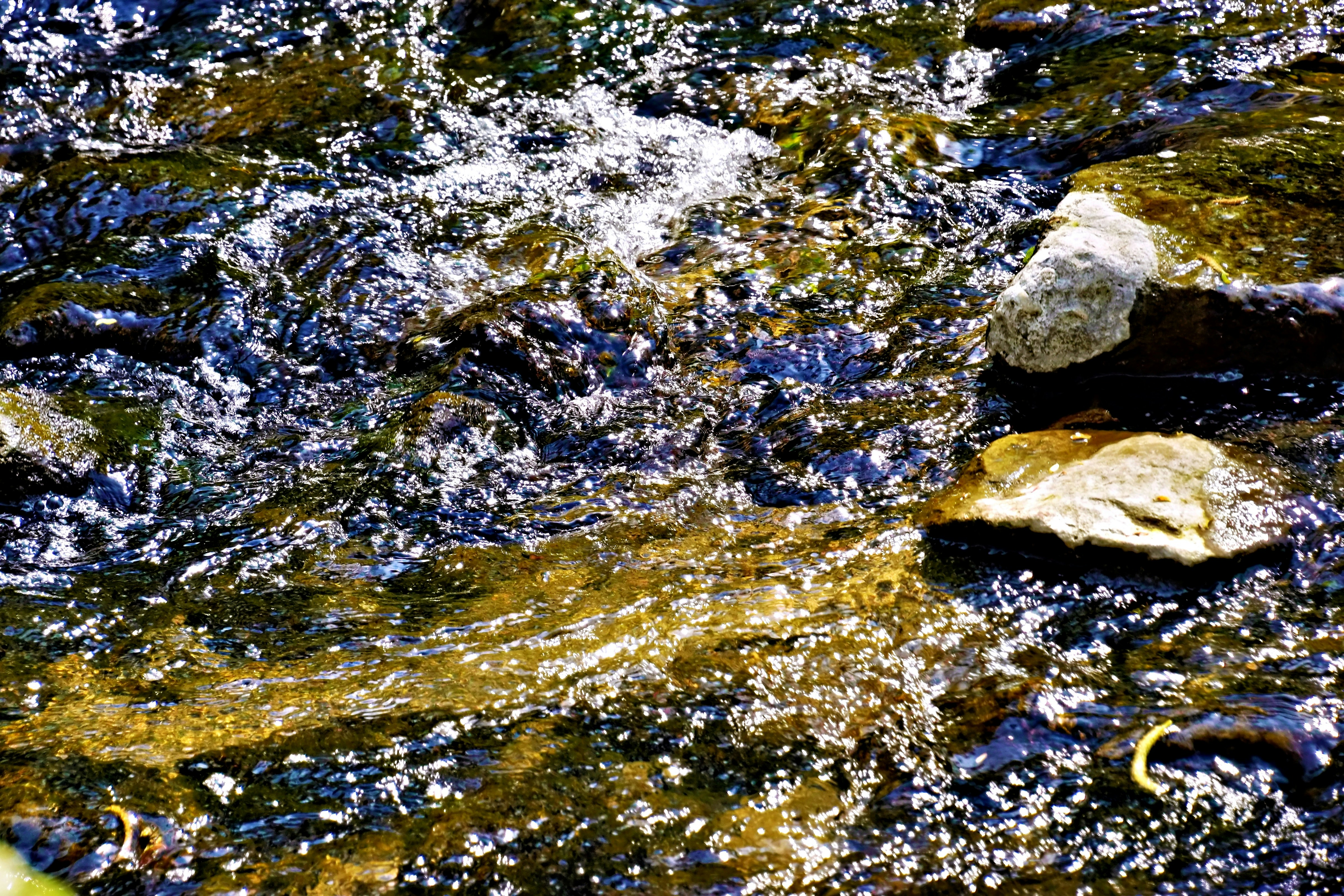 Pebble Shimmer: A Quiet Rush Through Mountain Stream Light