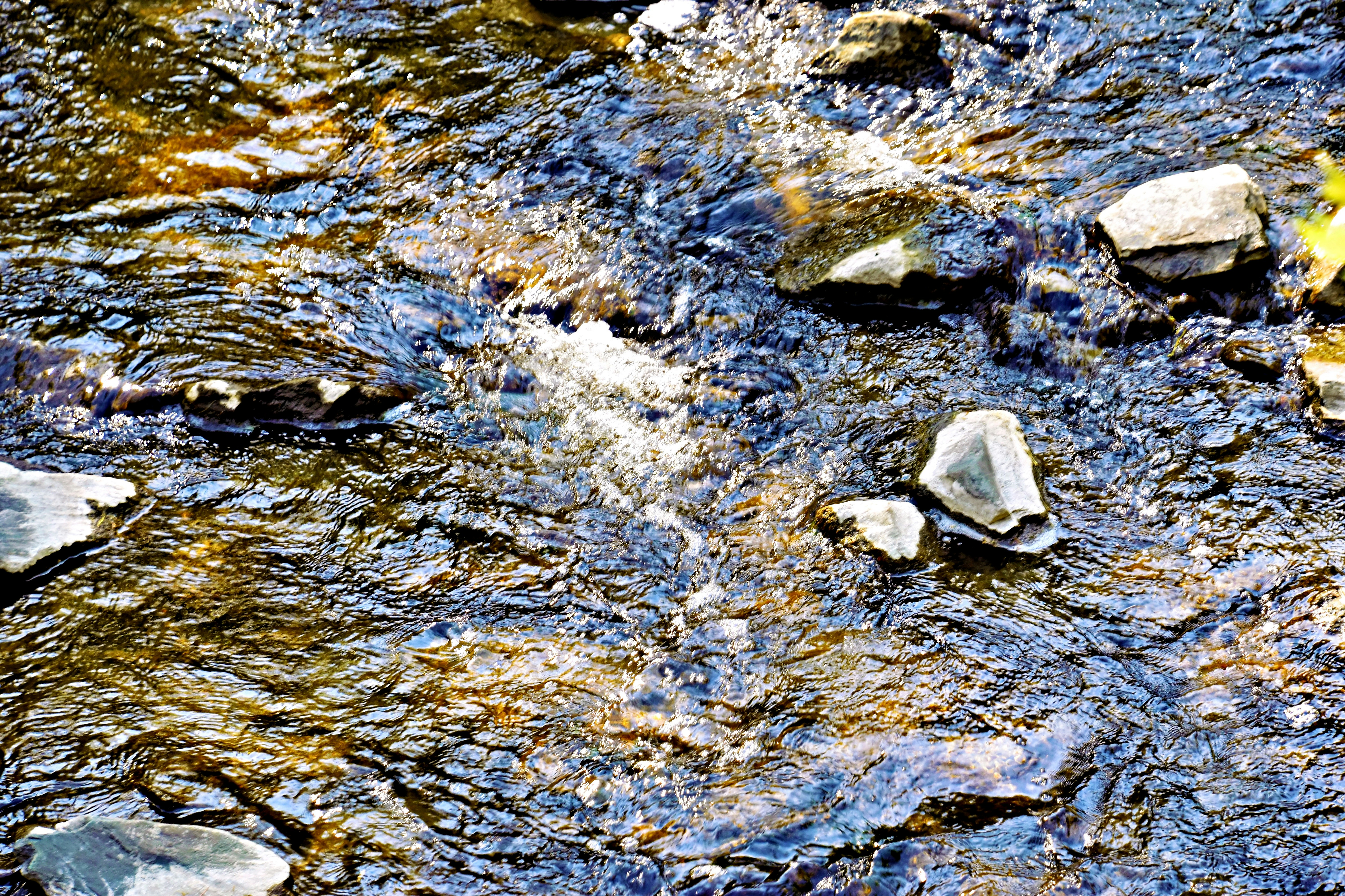 Earthy Currents: Light, Stone, and Quiet Ripples