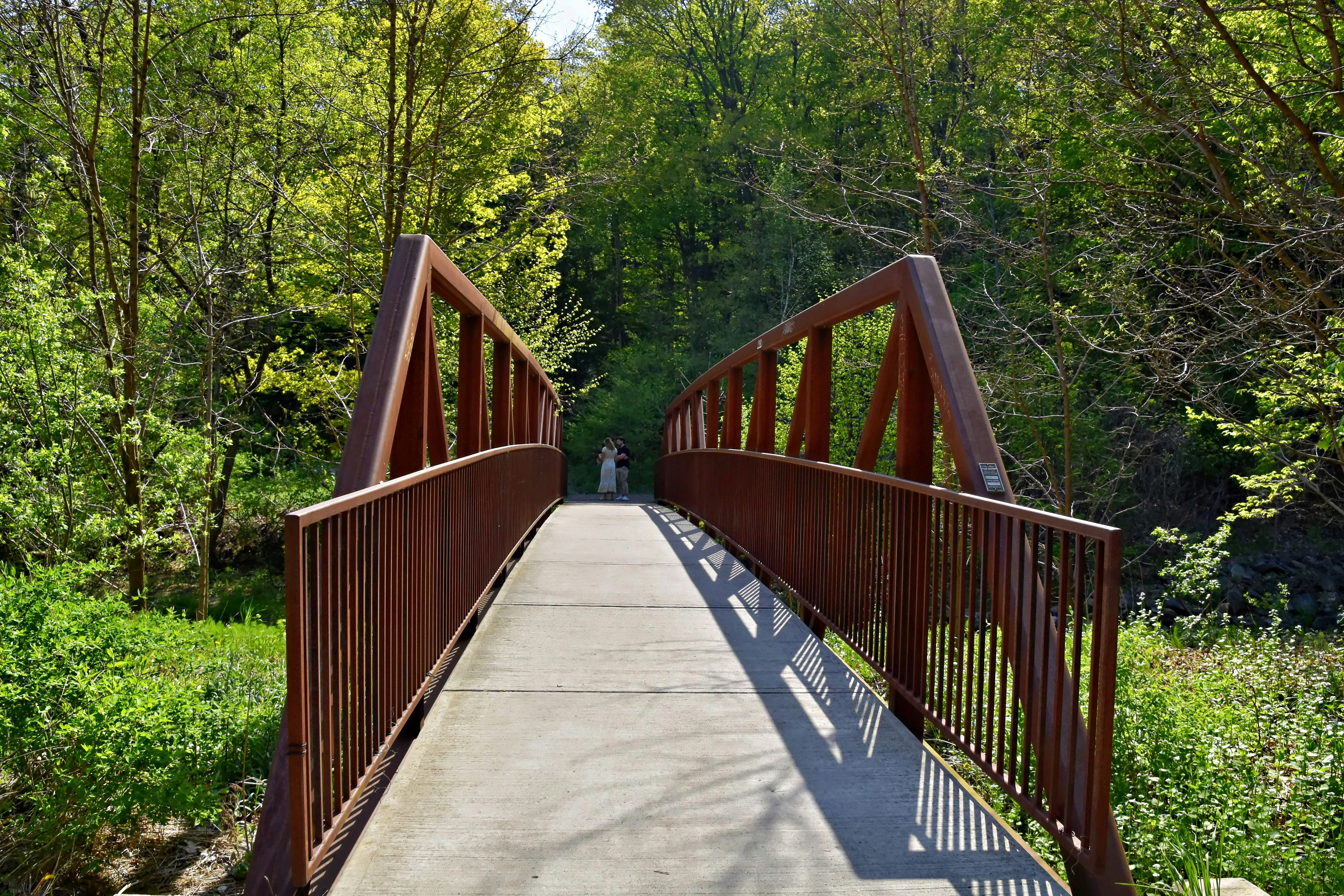 Symmetric Red Bridge Quietly Reaches Through Dense Greenery