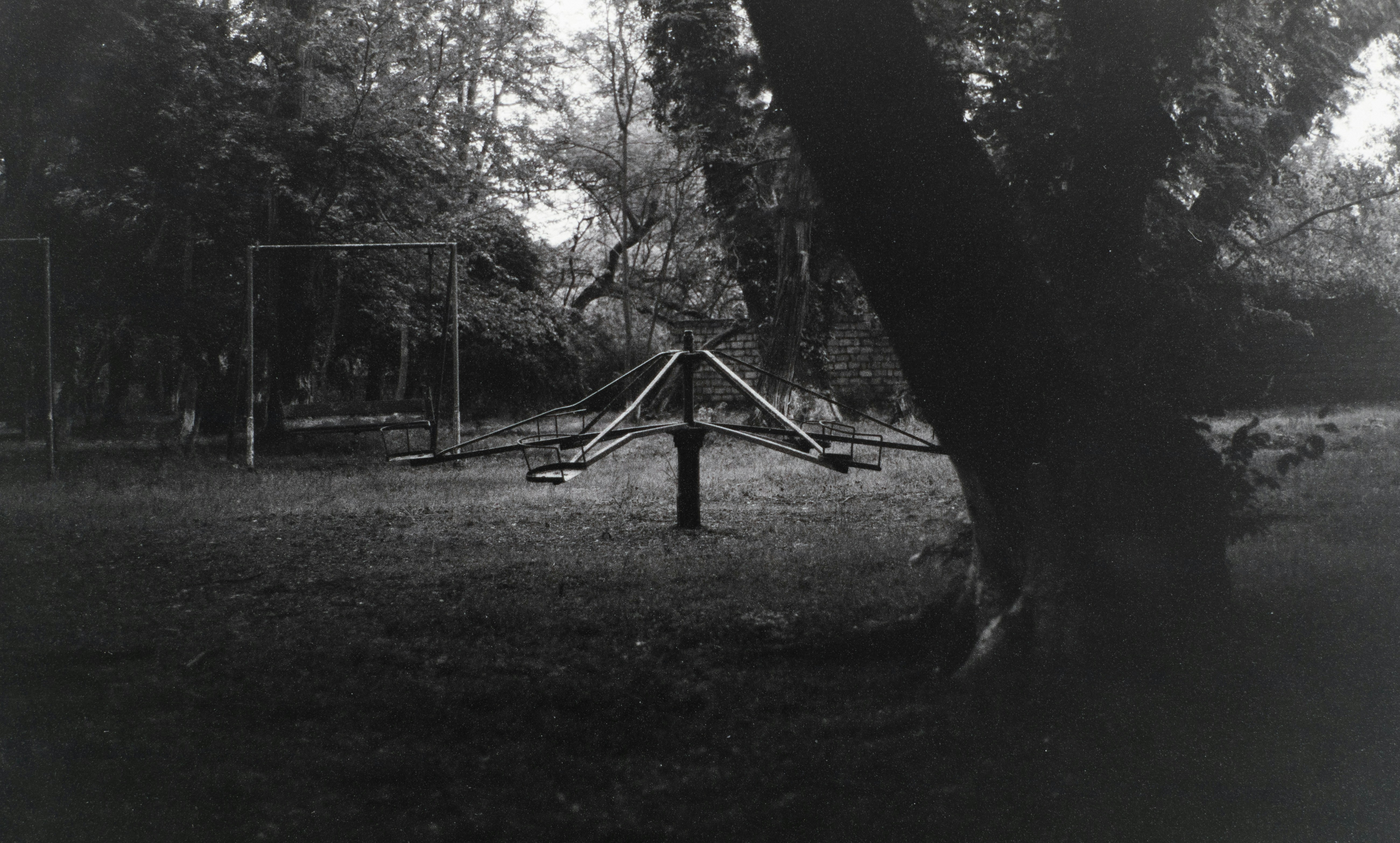 Still Grounded in Shade: A Quiet Playground Amid Trees