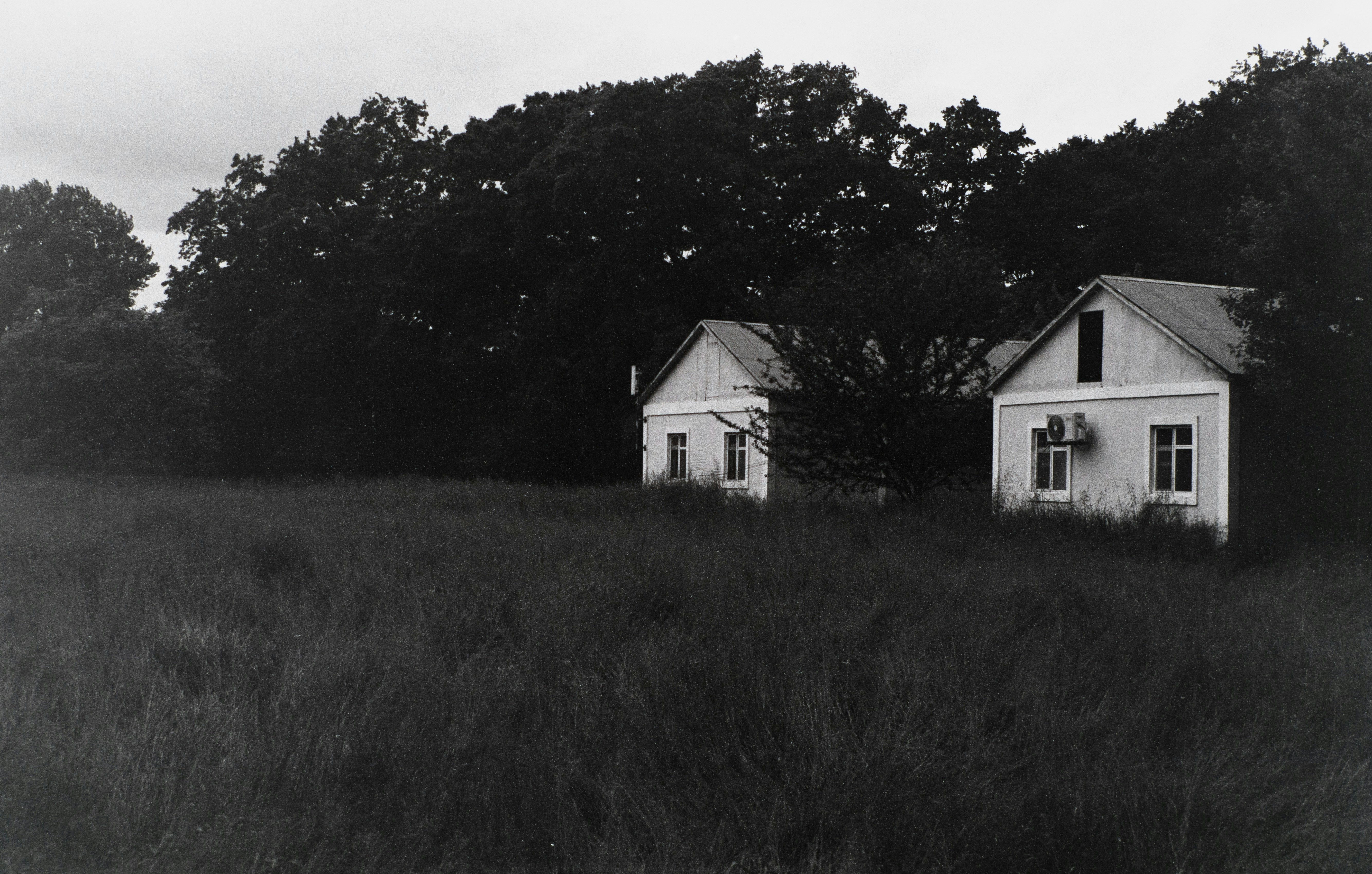 Abandoned Homestead Beneath a Looming Orchard
