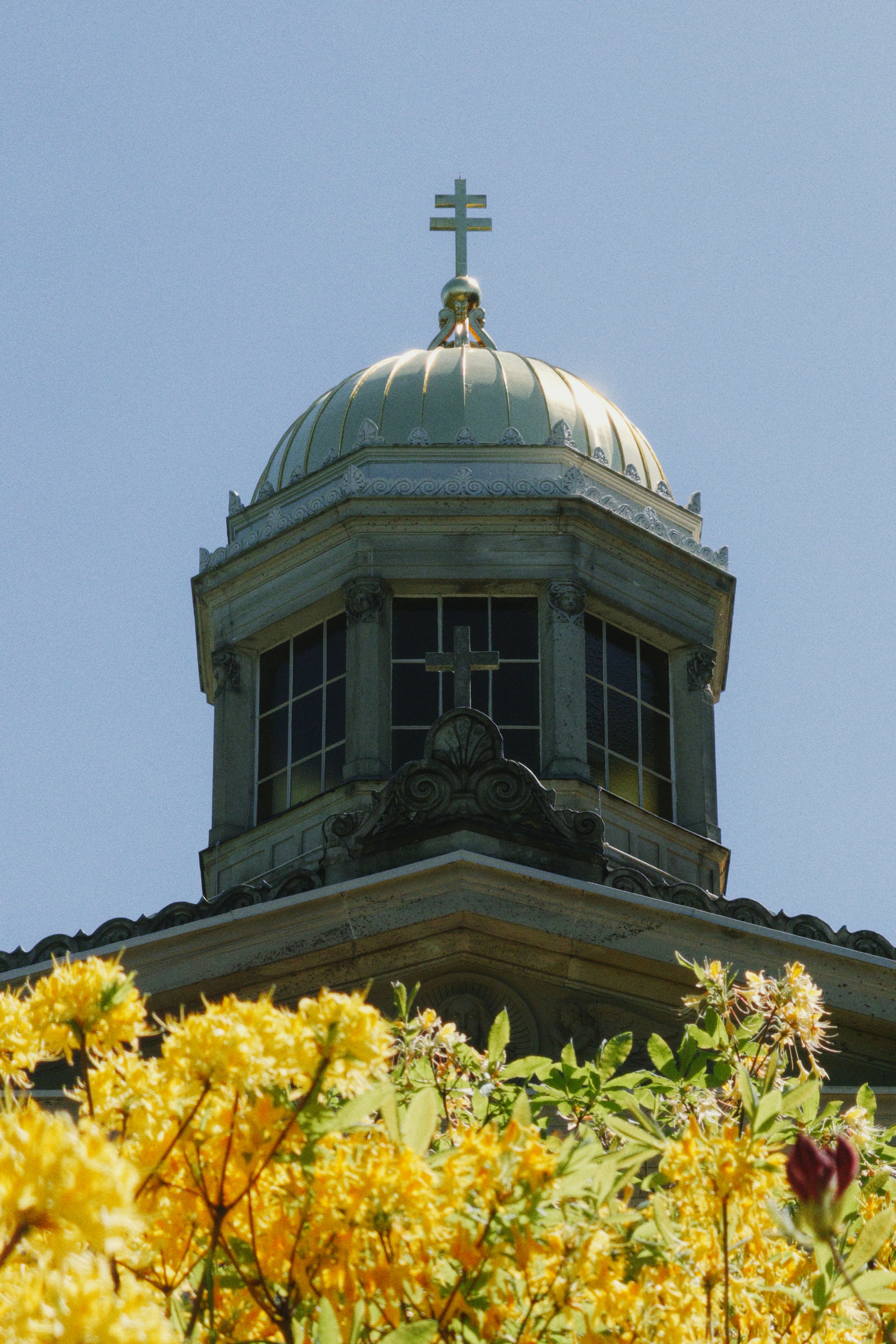 Dome of a Historic Structure Rising Above Golden Flowers