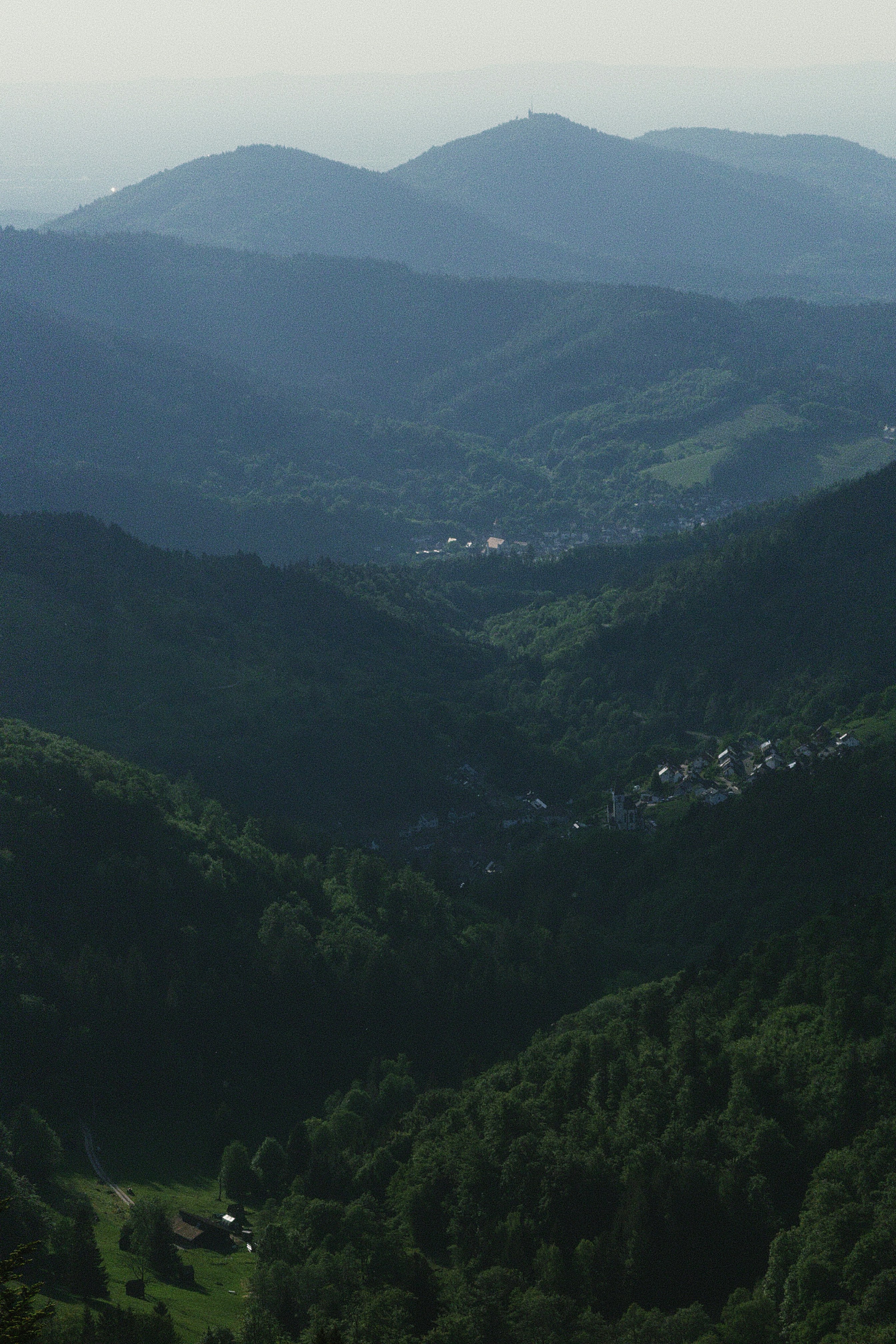 Mist-kissed Ridge: A Quiet Panorama Over Verdant Valleys