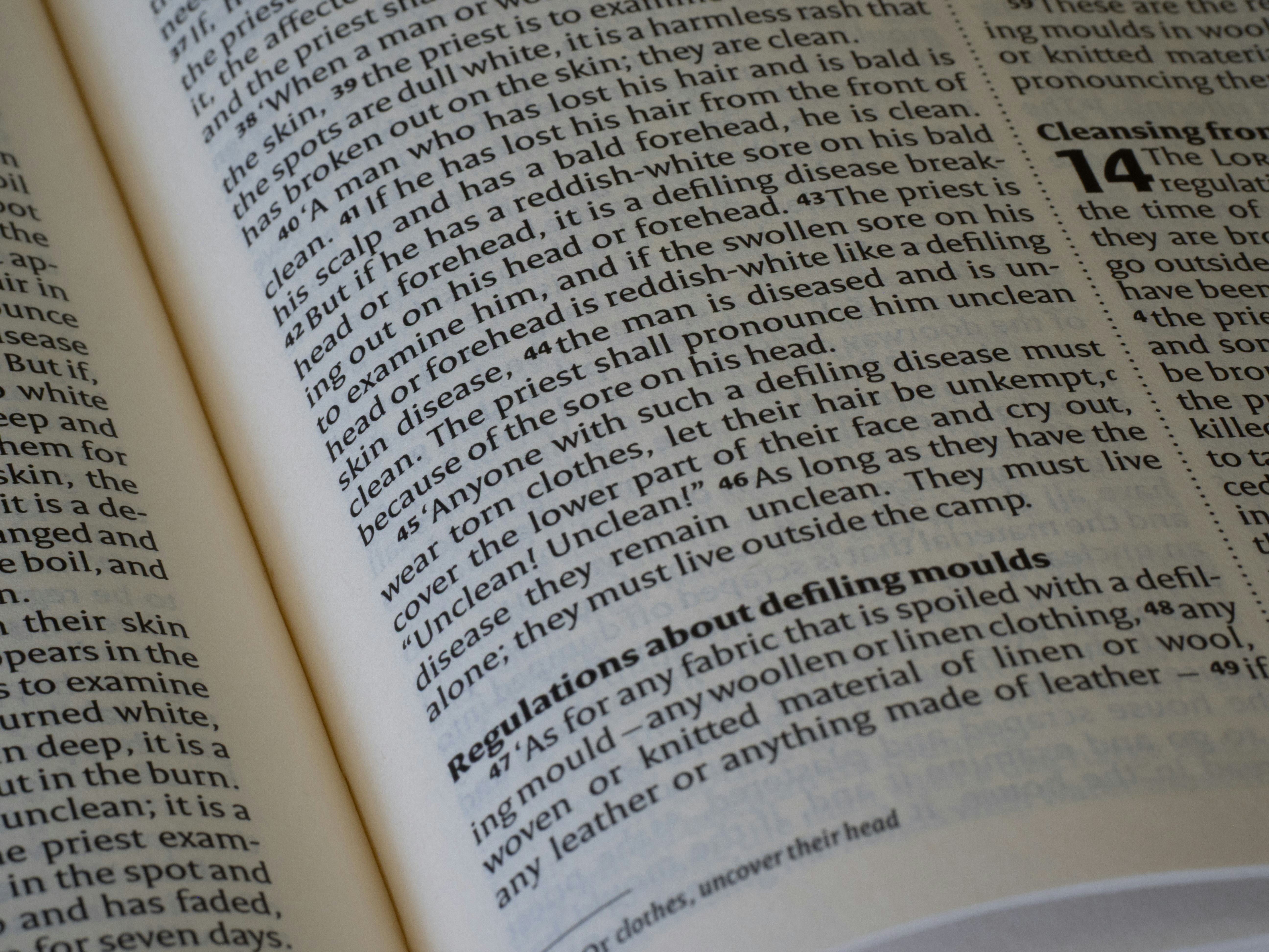 Highlighted Text: A Close-Up of Inked Edges in a Dictionary Page