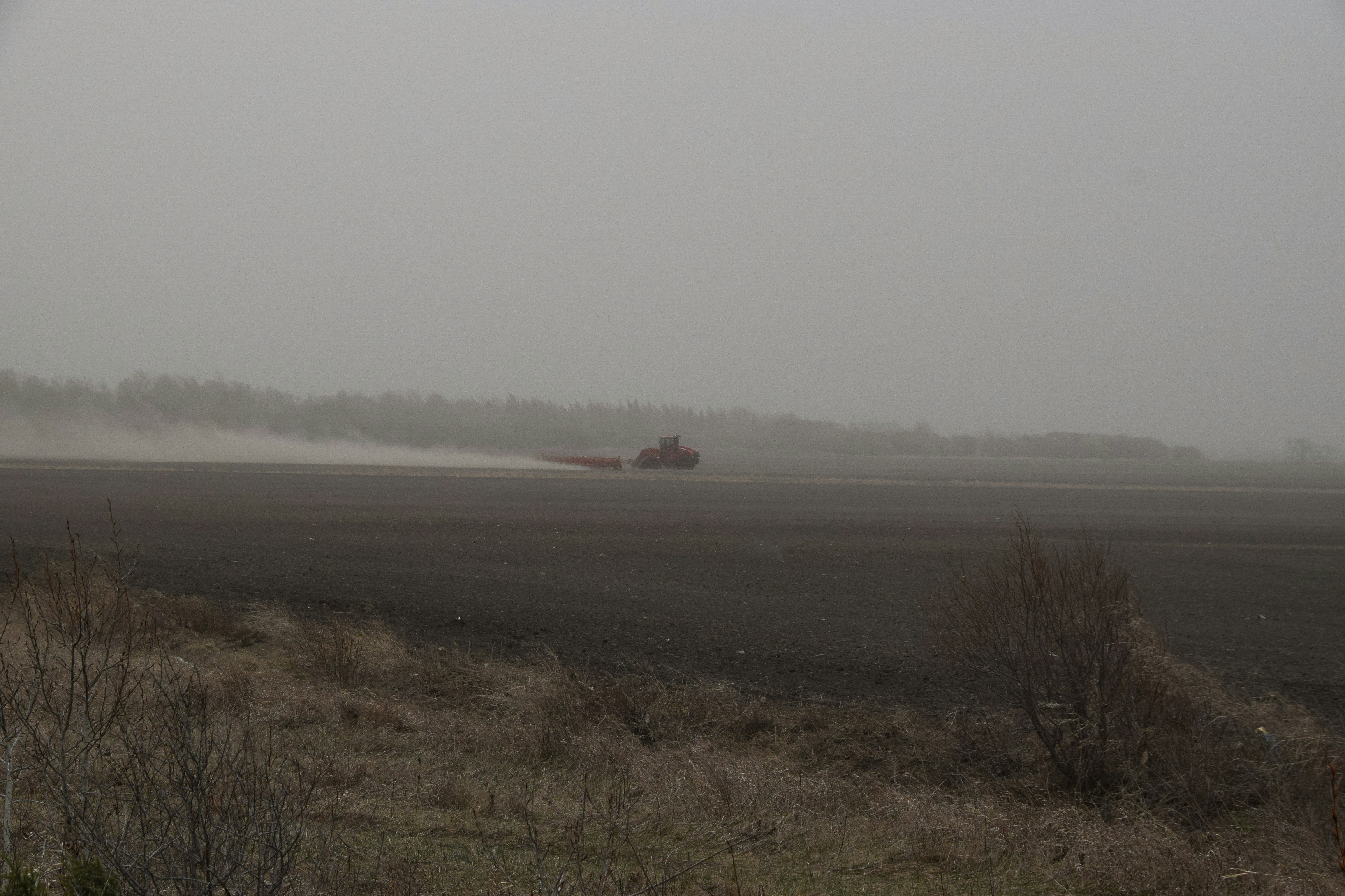 Mist over the Field: a distant tug in low-contrast dawn