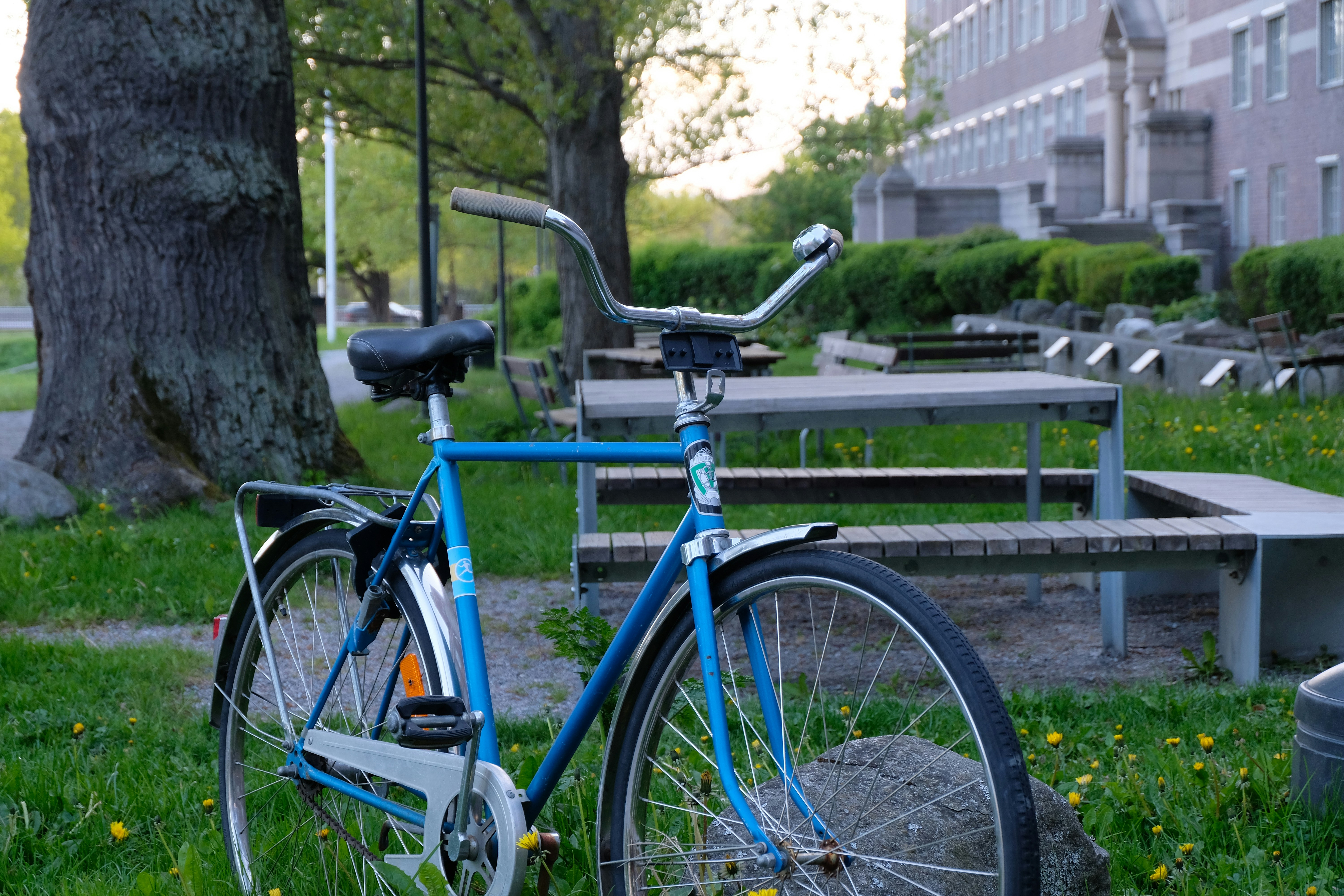 Blue bicycle by the park bench under dappled evening light