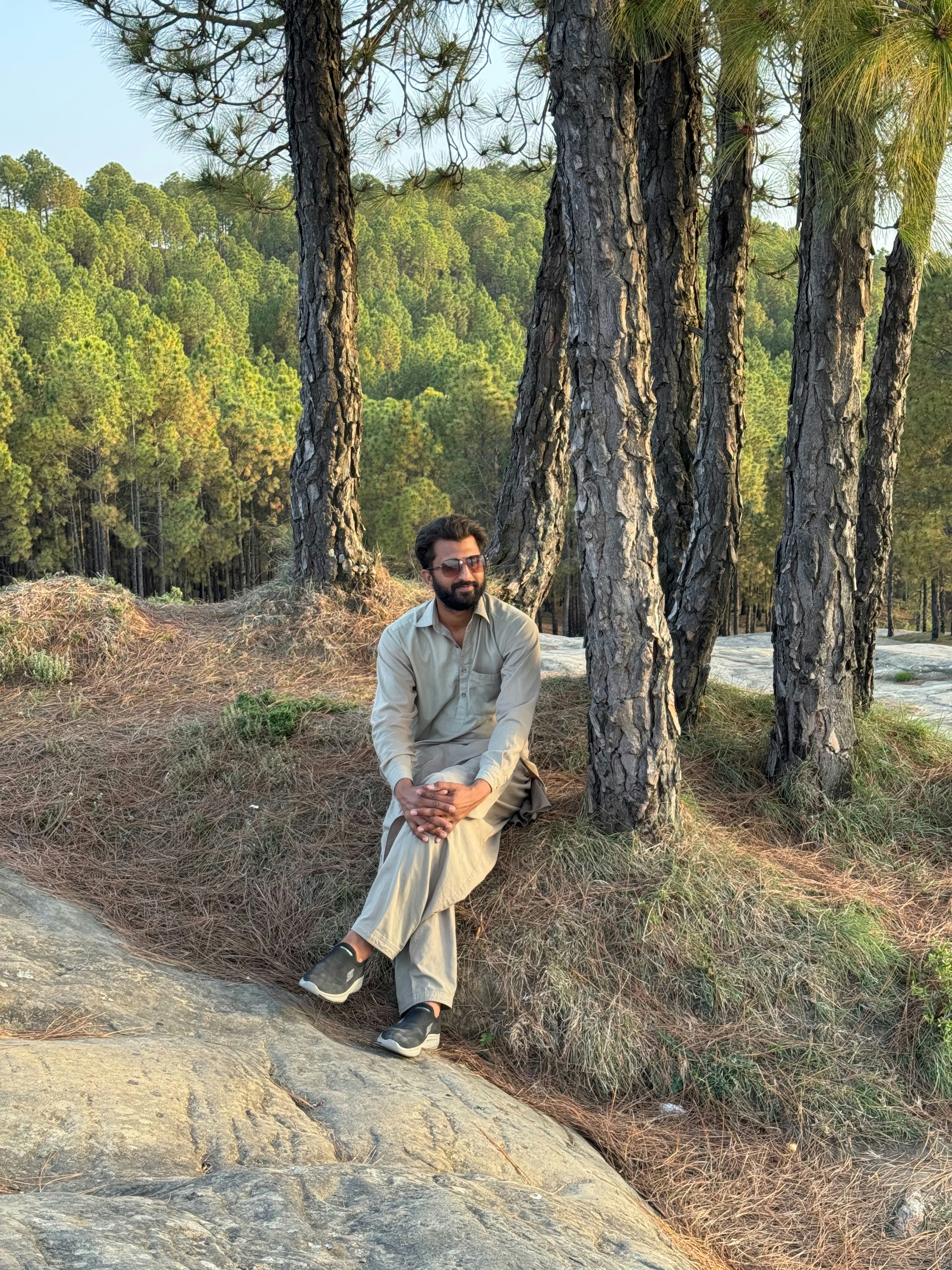 Beside the Pines: a Quiet Moment in the Forest