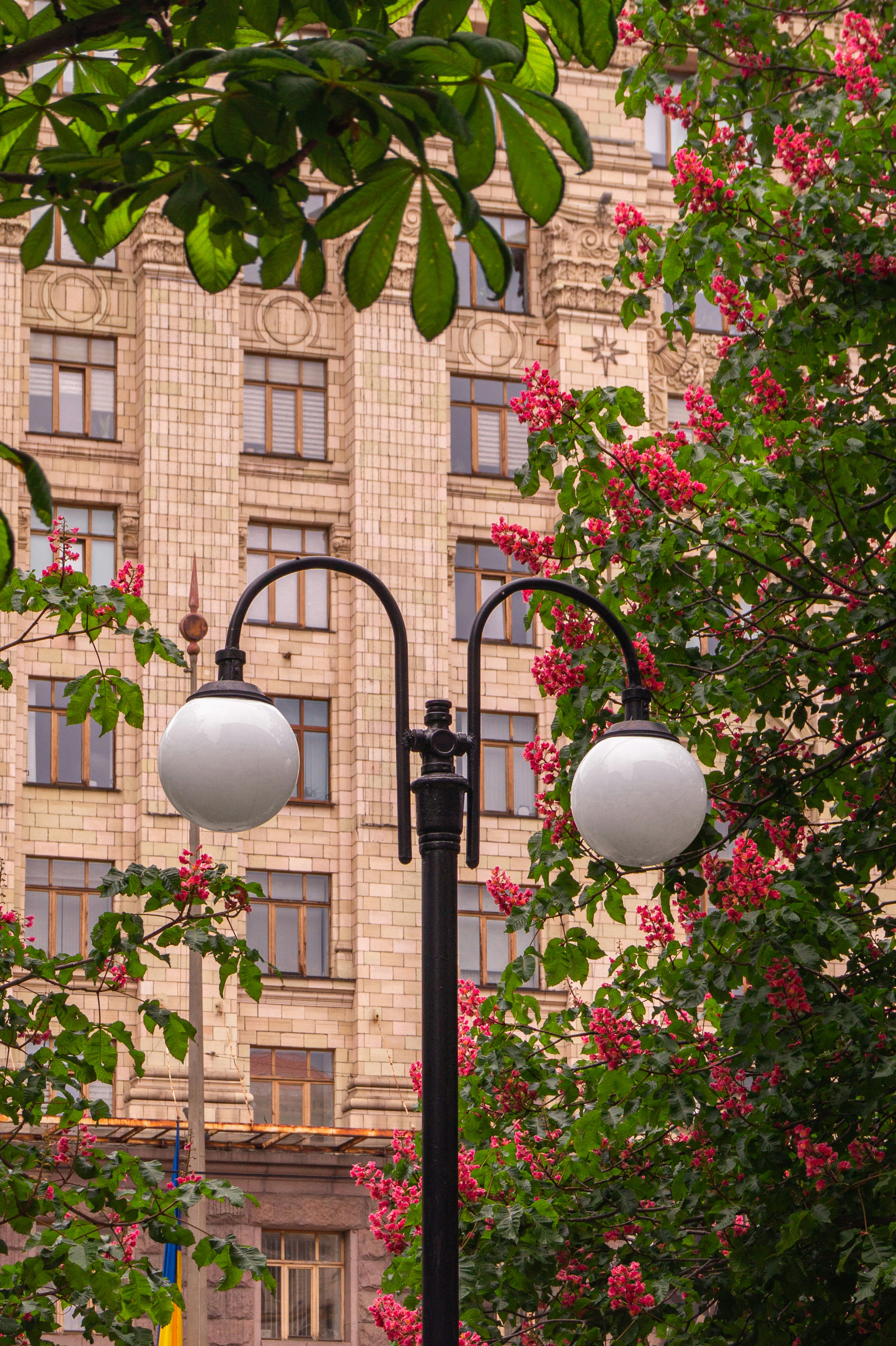 Twin Lanterns Amid Crimson Blooms Before a City Facade