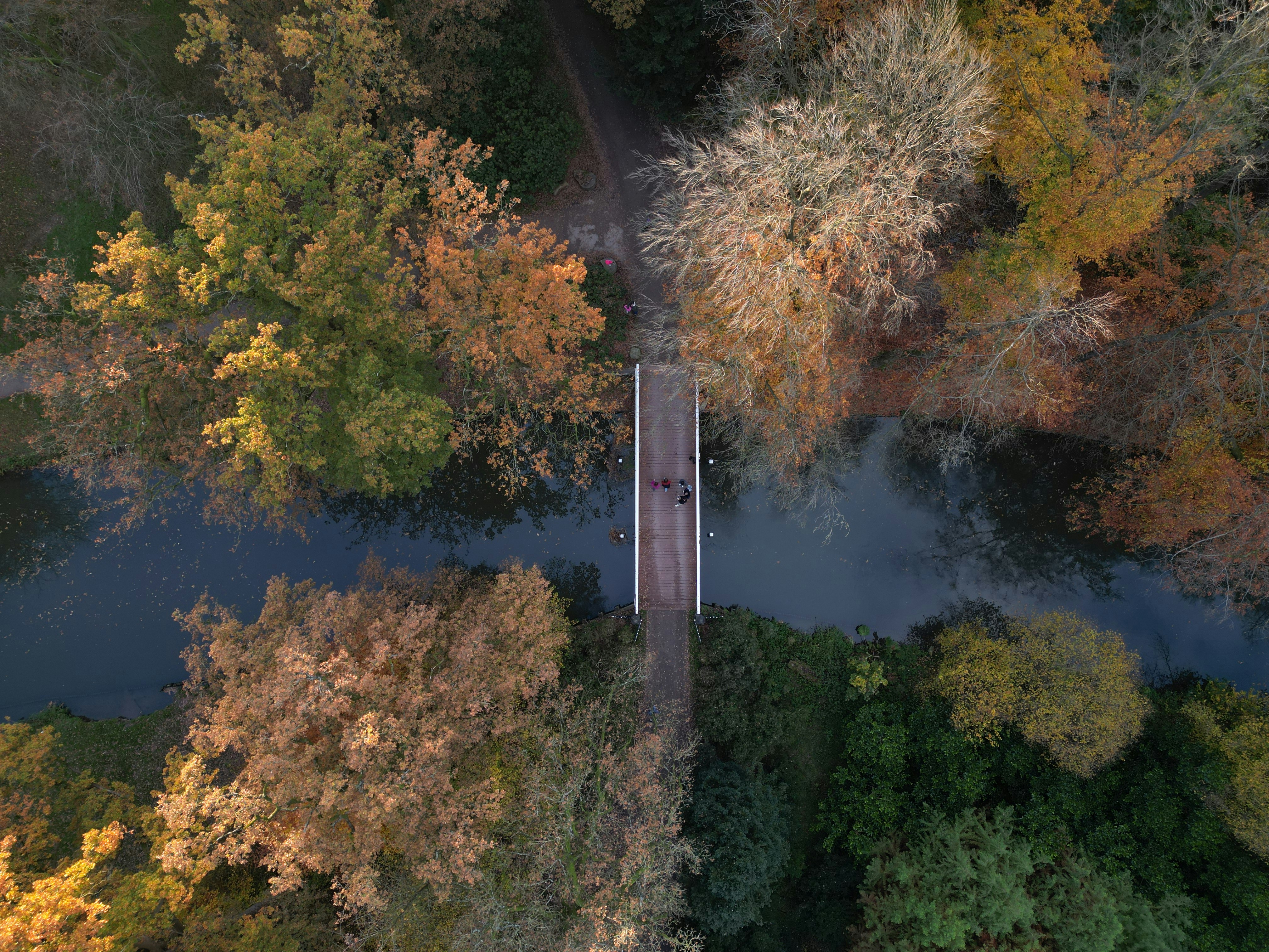 Autumn Bridge: A Quiet River Crossing Tallied by Foliage