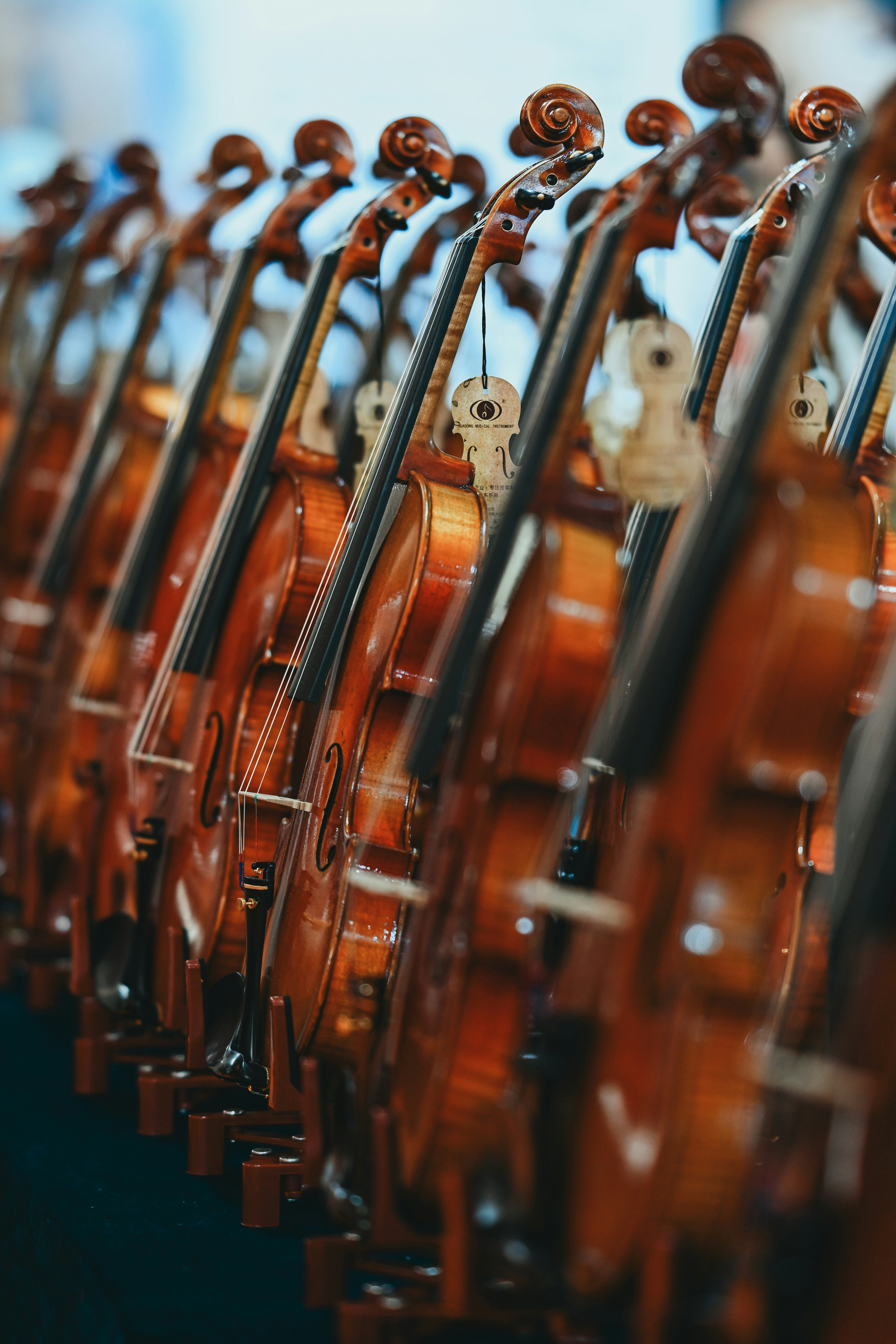 Strings in a Row: Violin Choir in Soft Focus