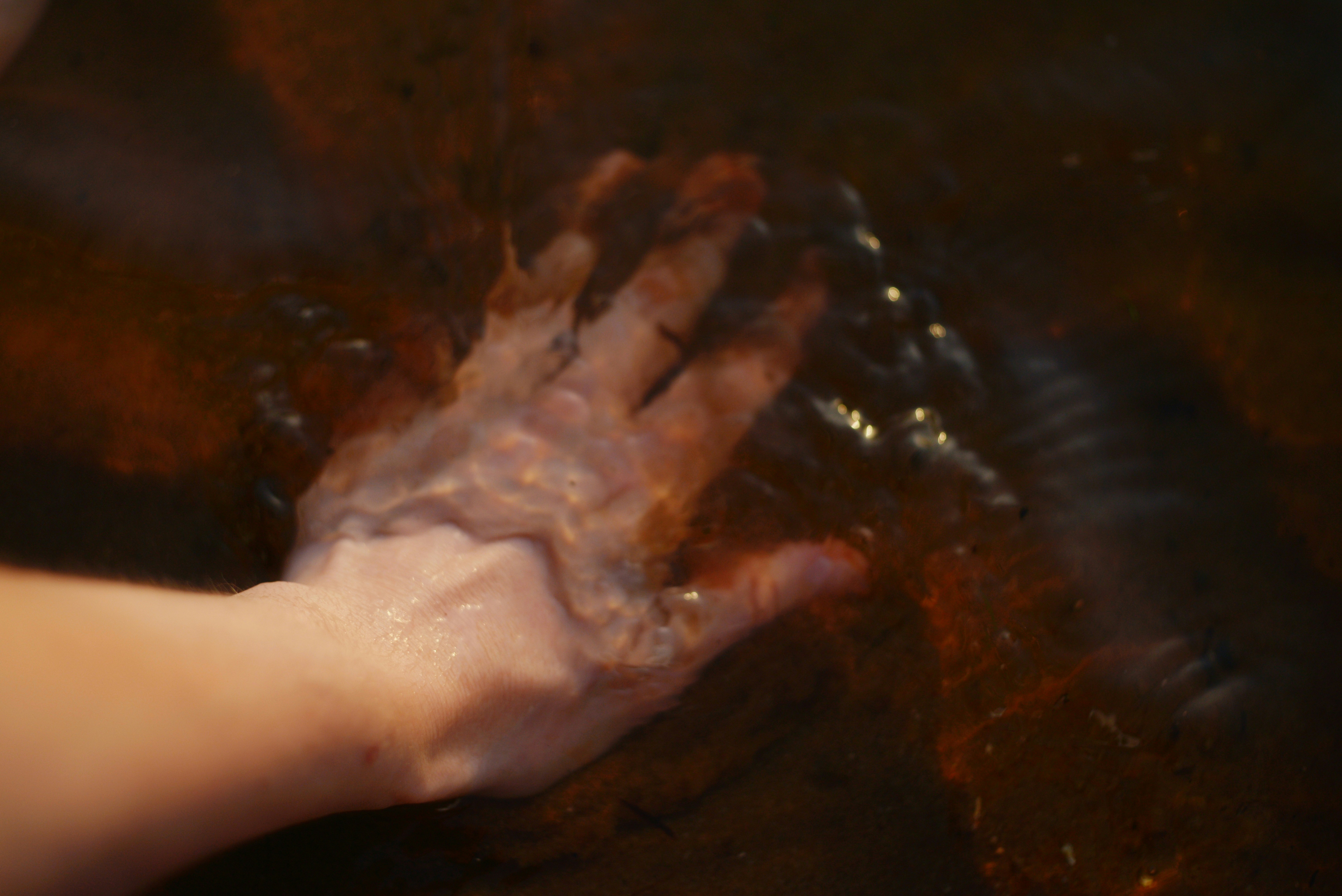 Submerged Hand in Dim, Amber-Glow Water