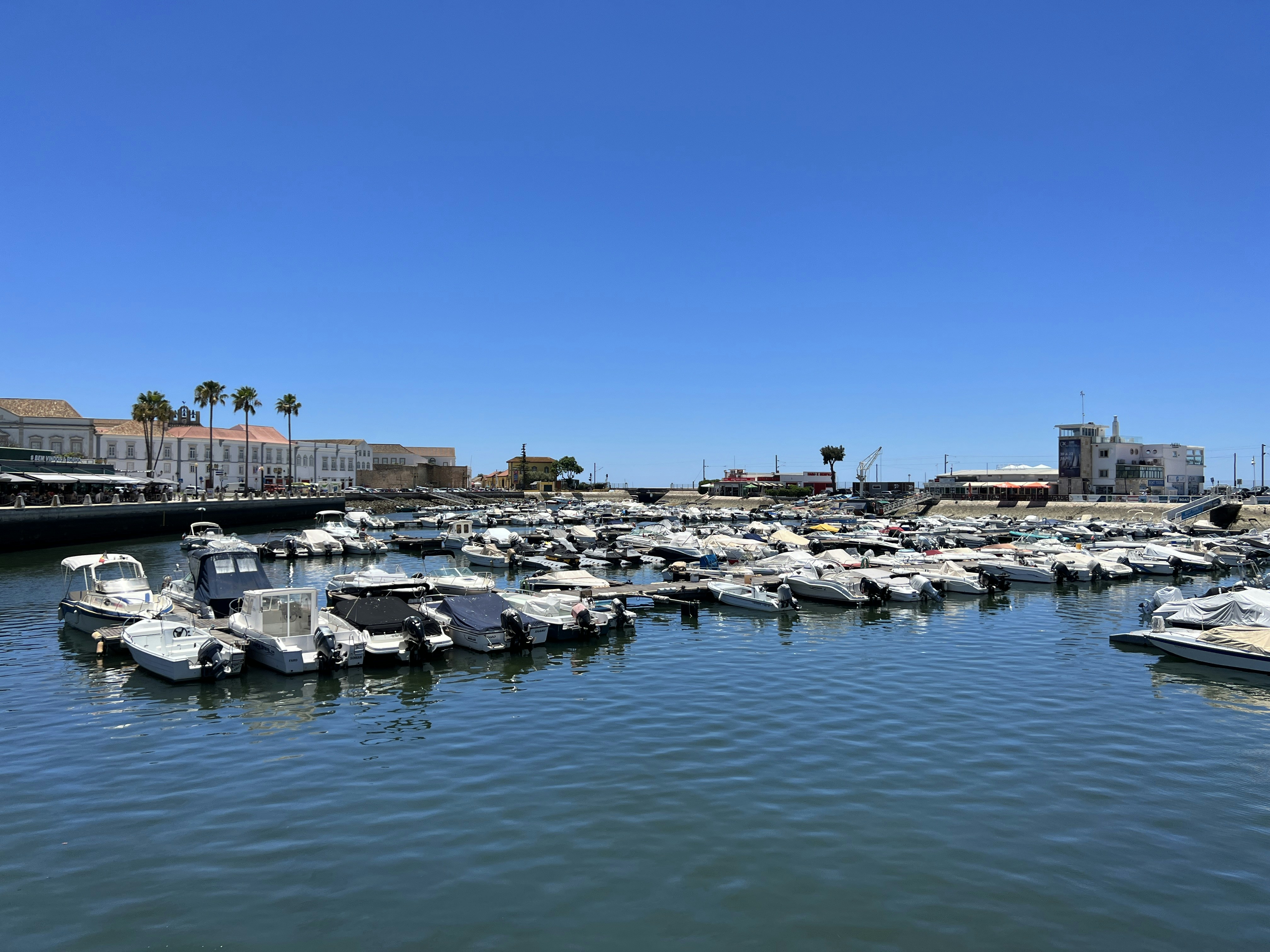 Sunlit Marina: Boats Rest Under a Clear Coastal Sky