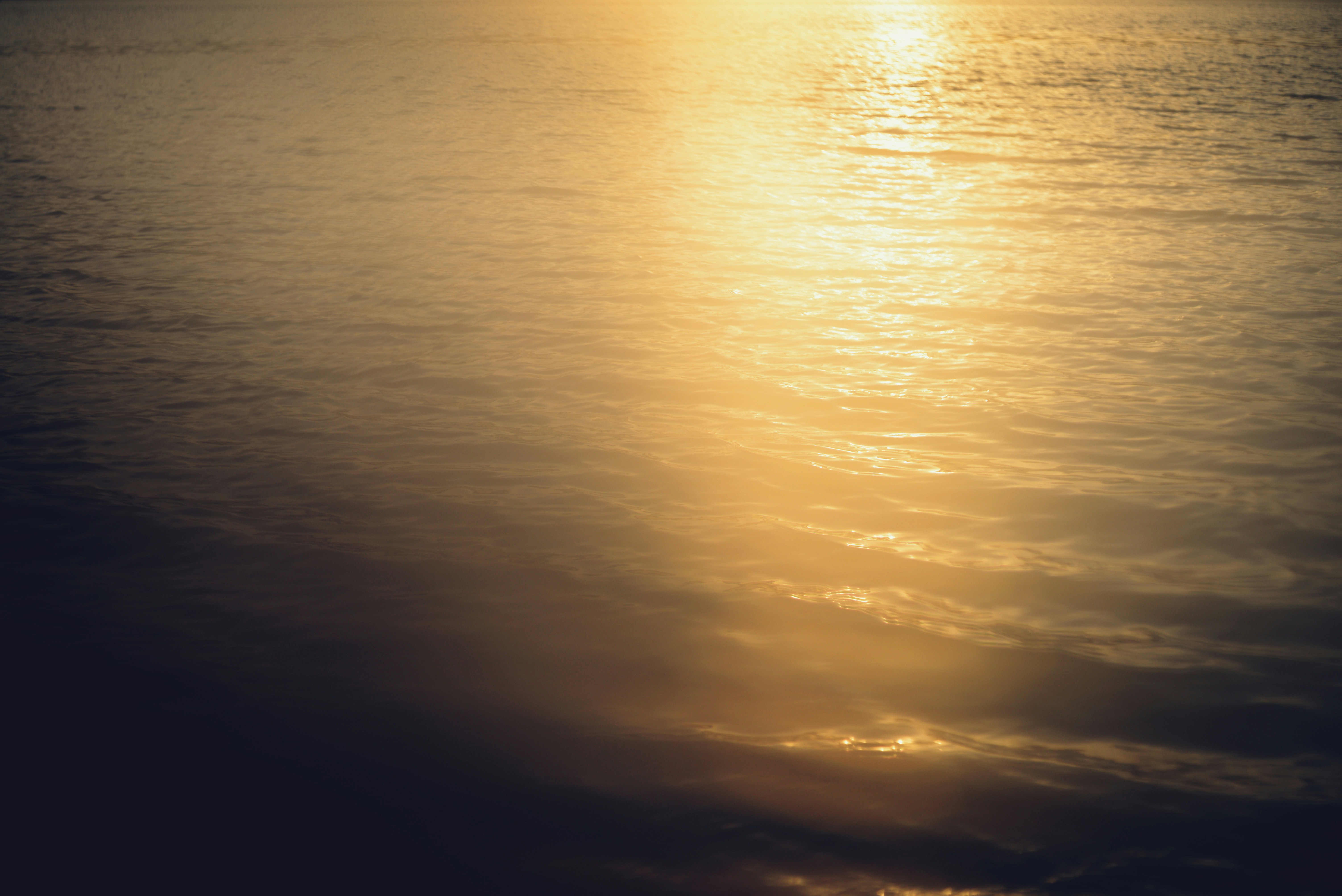 Sunlit Ripple: A Quiet Horizon of Golden Water