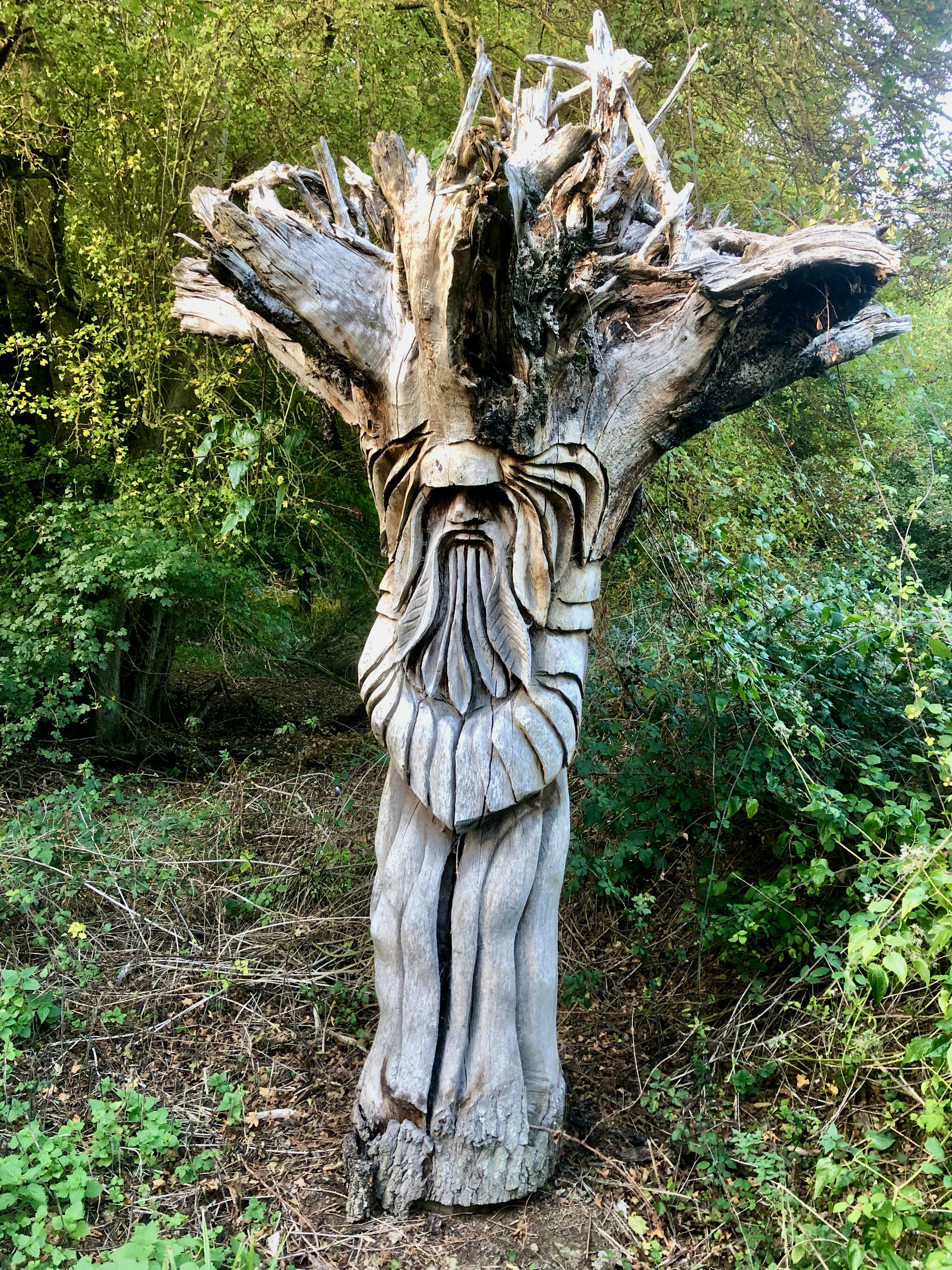 Ancient Sentinel: Weathered Tree Spirit Rising from the Underbrush