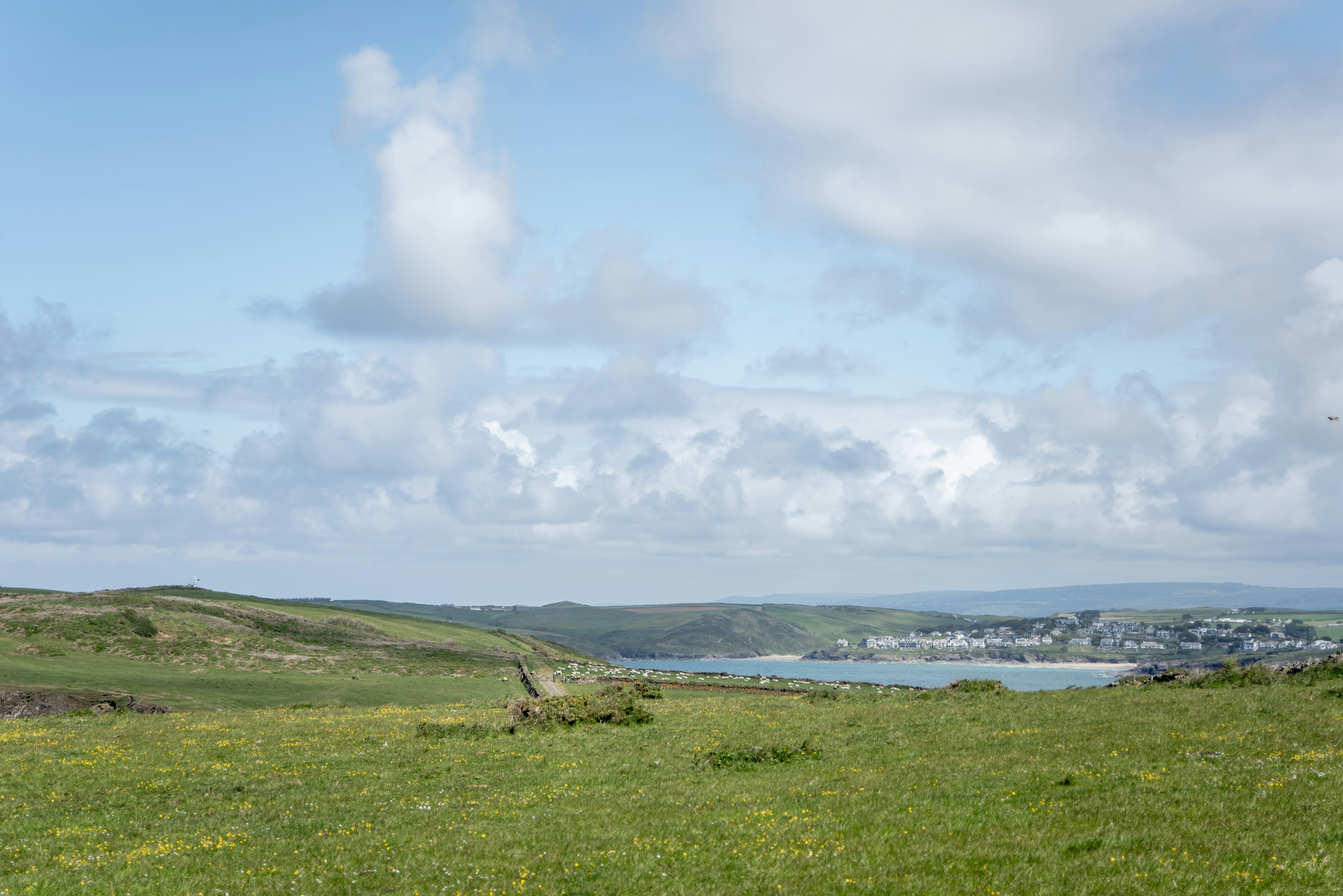 Coastal Meadow Overlook Beneath a Sky of Cottony Clouds