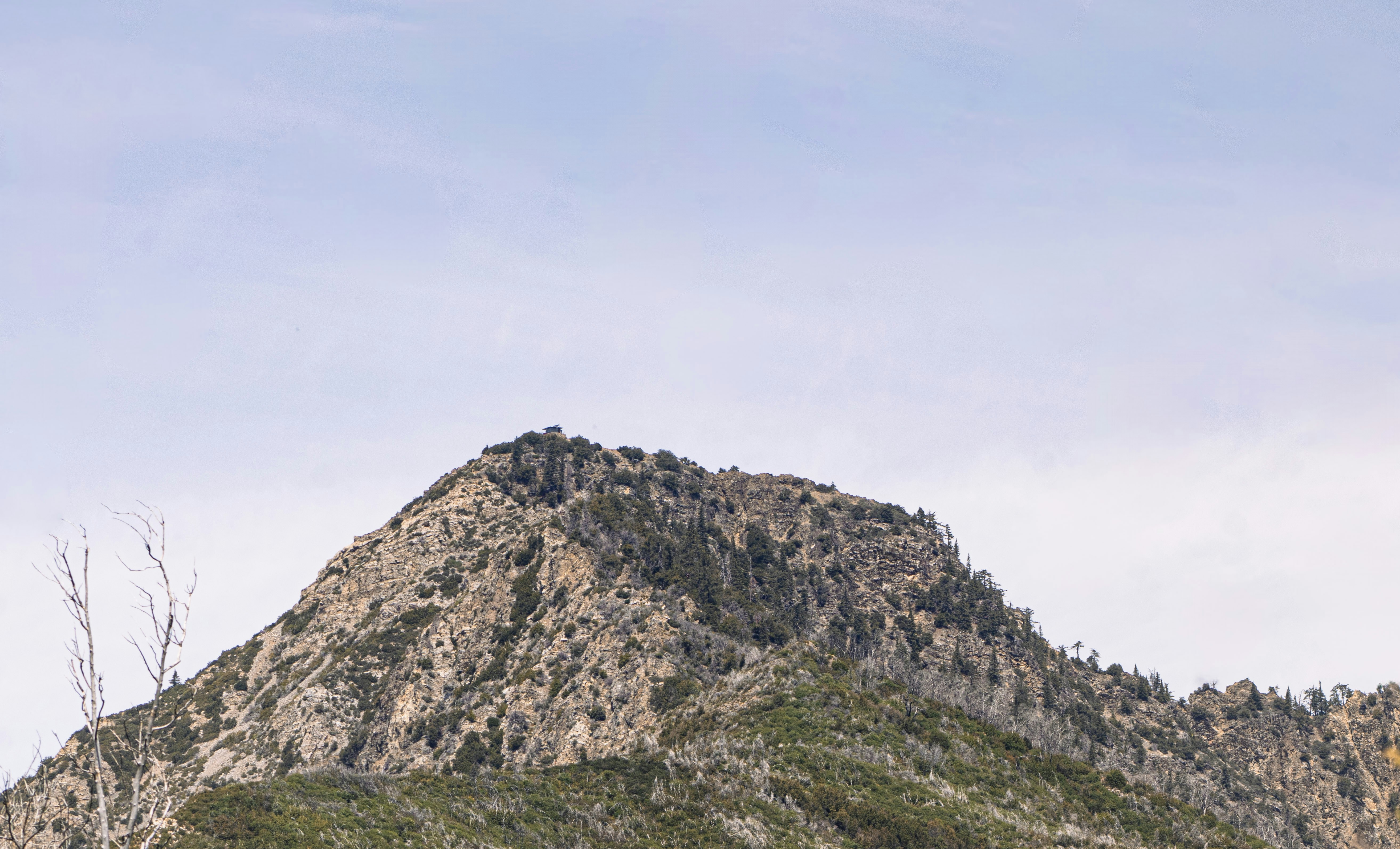 Ridgecrest Summit: The Rough Crown of Stone