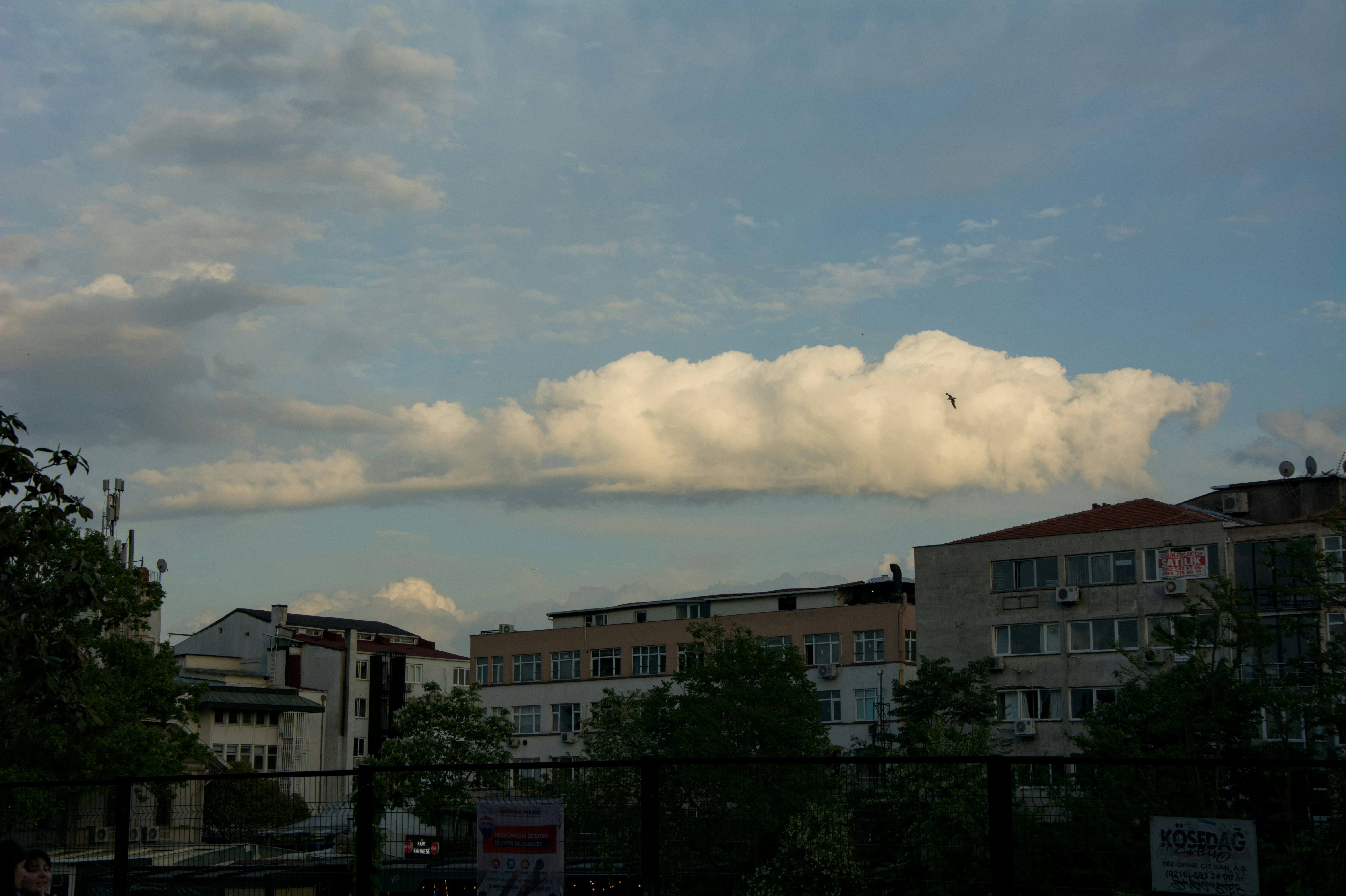 Cloud-lit Horizon Over a Quiet Urban Park