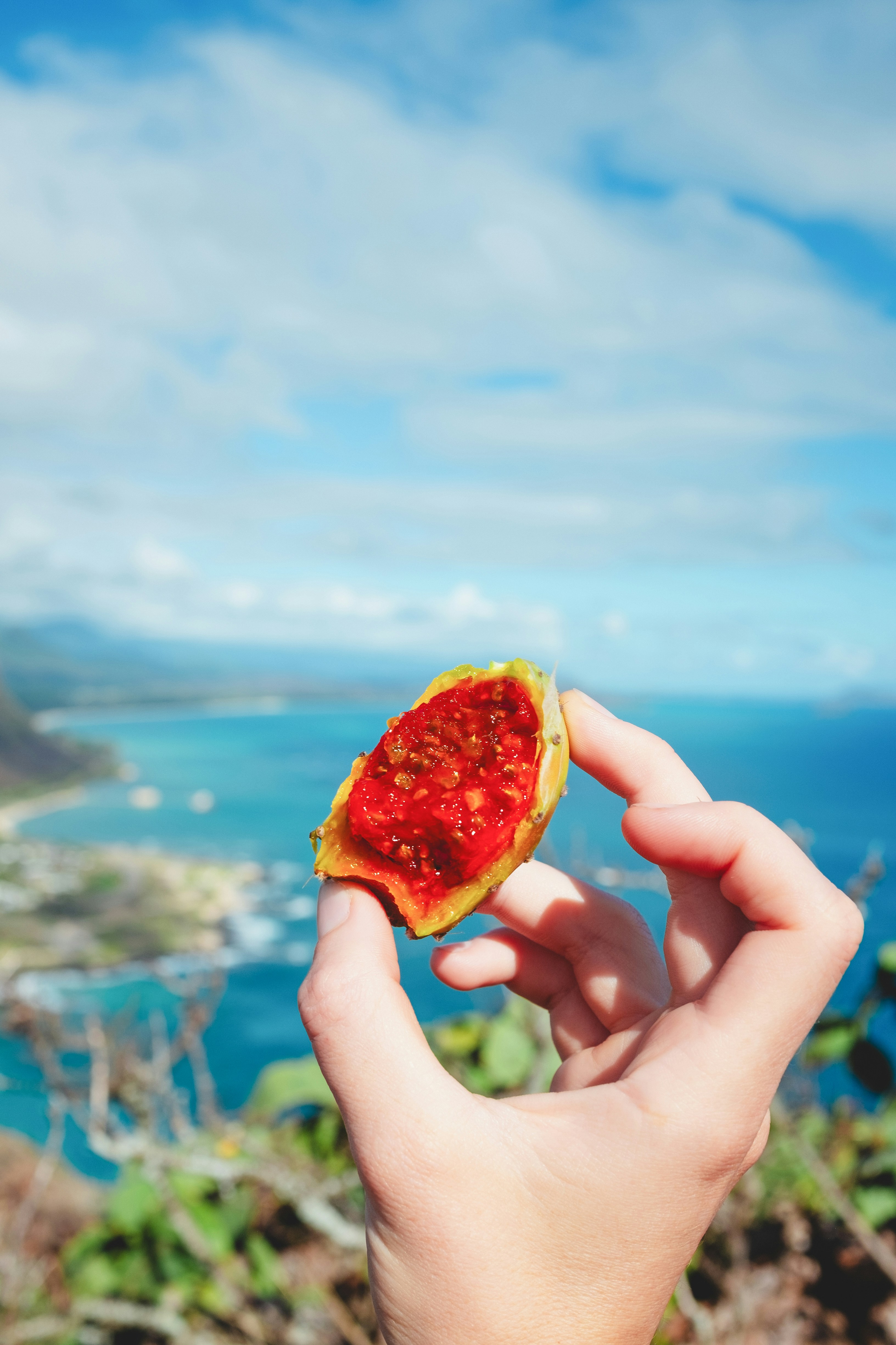 Citrus Bite Over Coastal Dawn